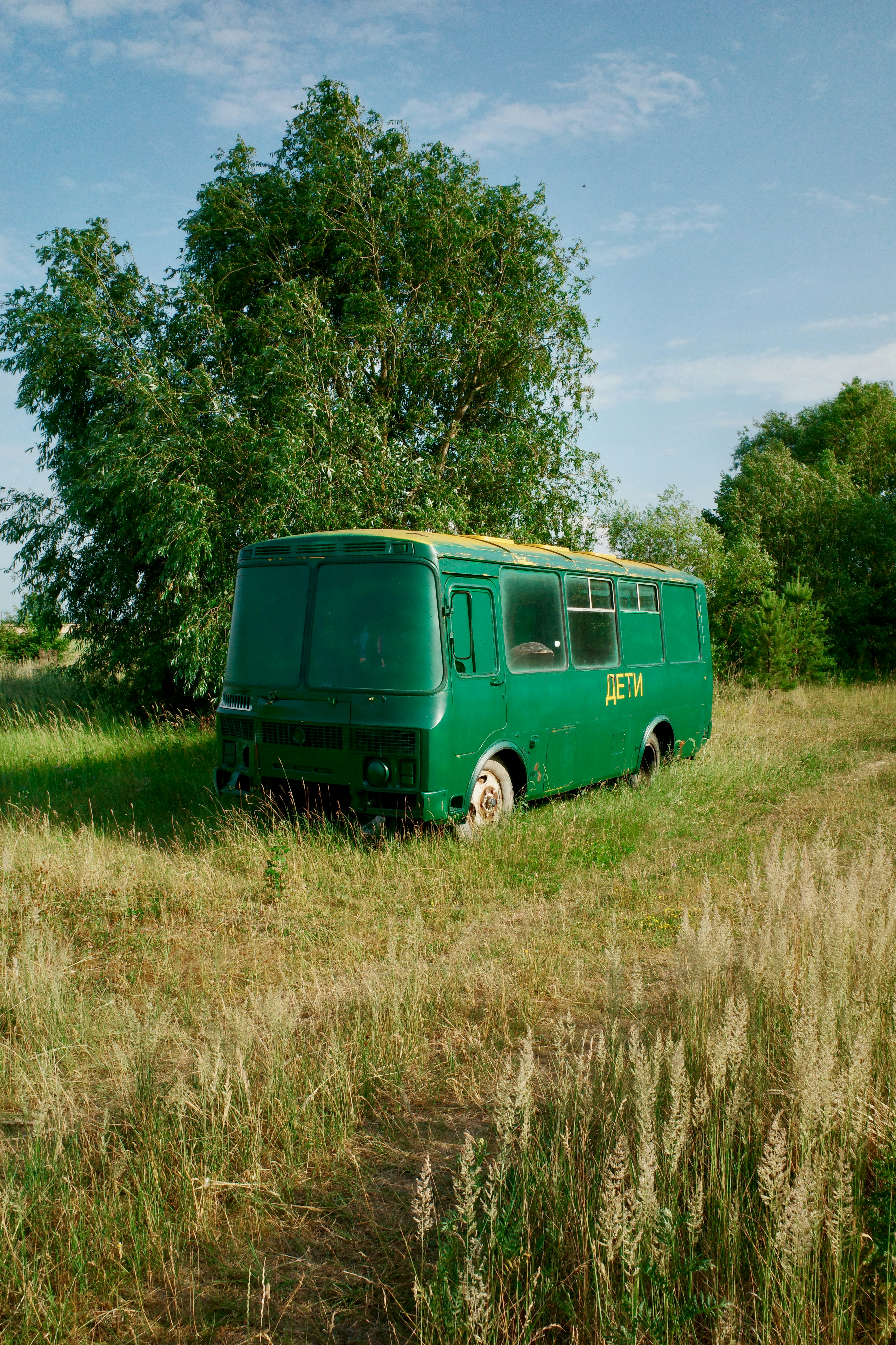 Green Bus in Sunlit Meadow