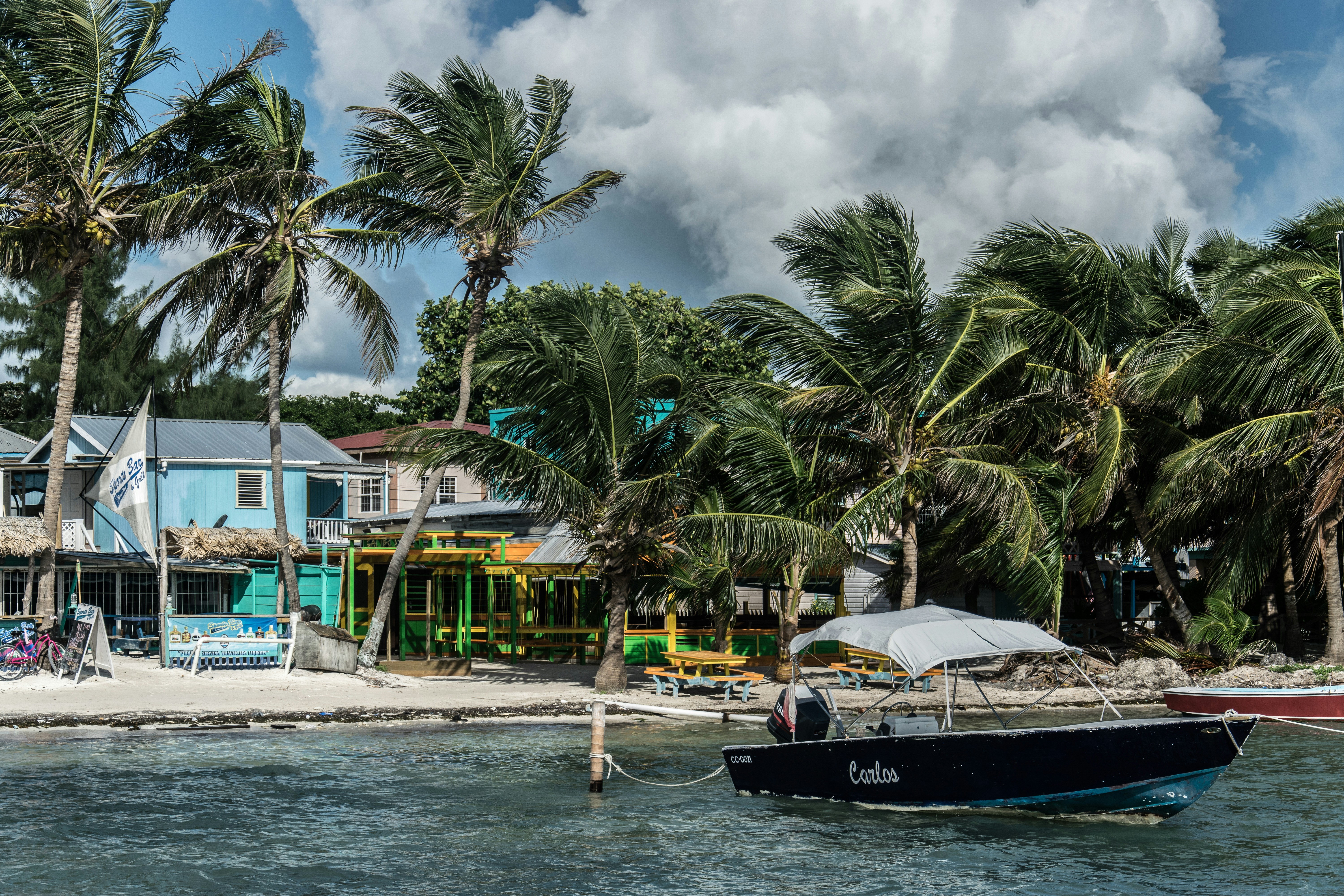 Palm-shaded shoreline with a sunlit boat moored near cheerful beachfront huts