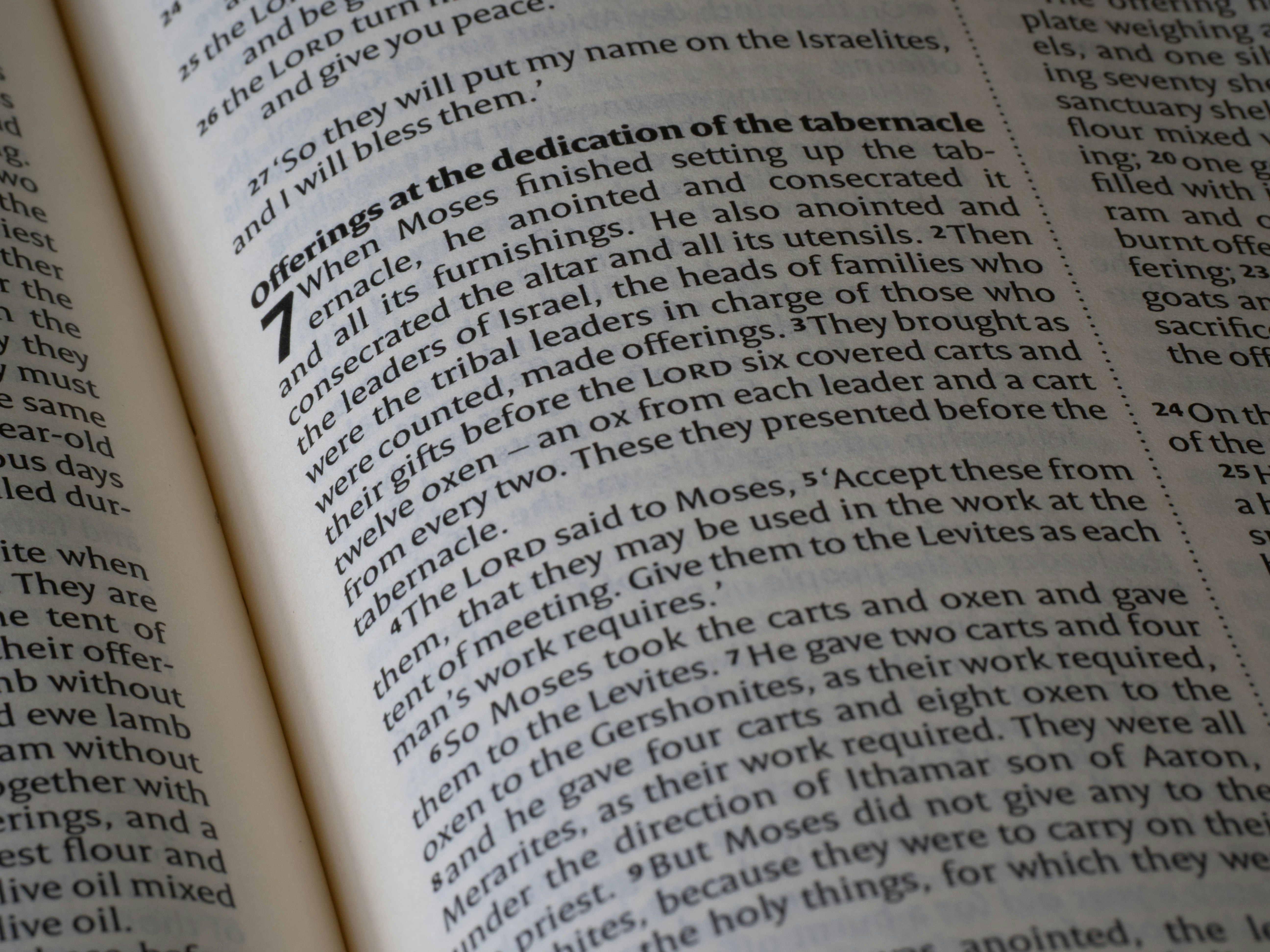 Tabernacle of Text: A Close Read in the Margins
