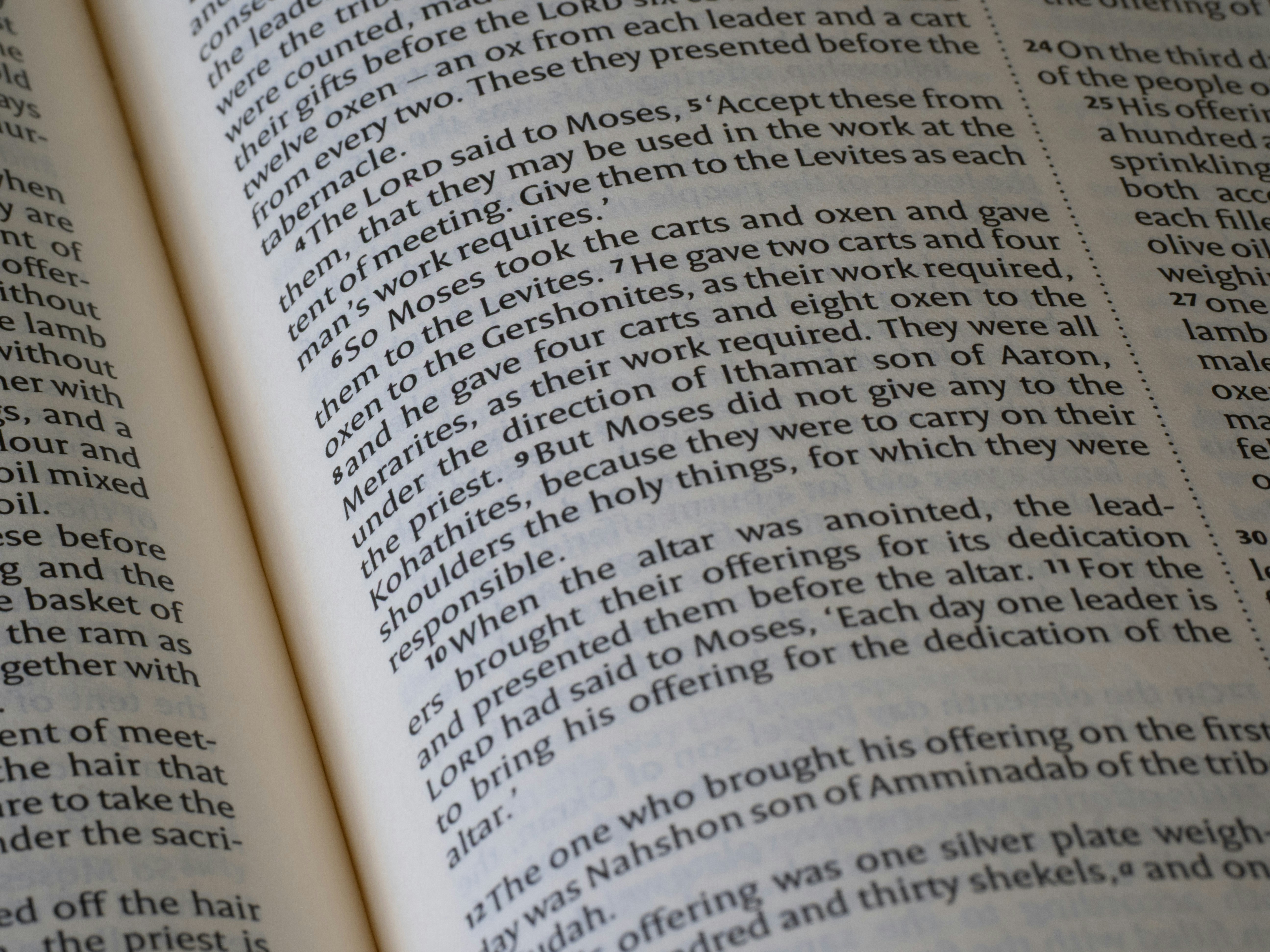 Close-up of printed pages in a book, showing diagonal lines of text along the spine and soft curvature of the pages; a study in typography and texture. Note: book page texture and ink create subtle shadows and depth.