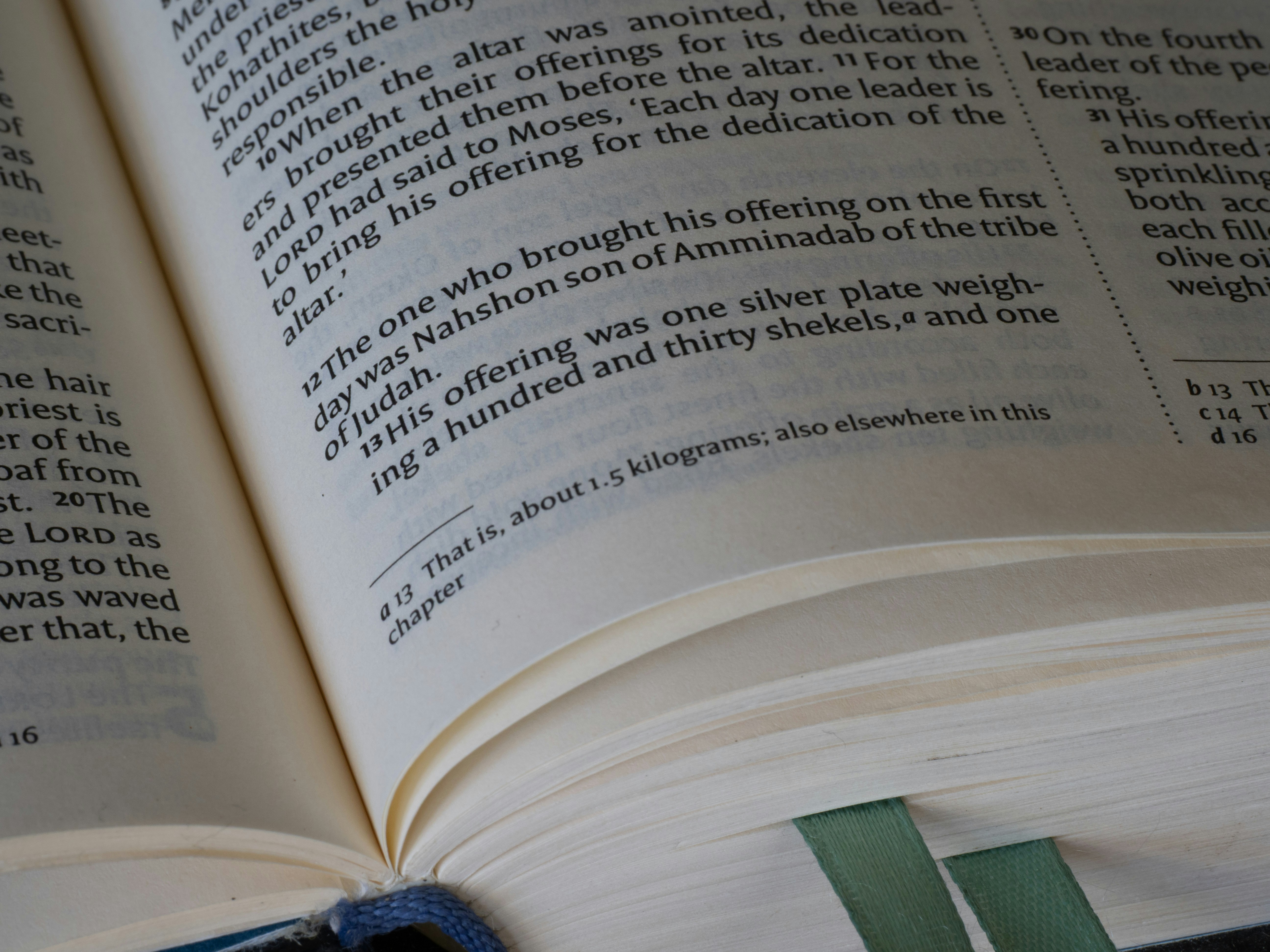 A Quiet Fold: Pages Curving Around a Book's Horizon