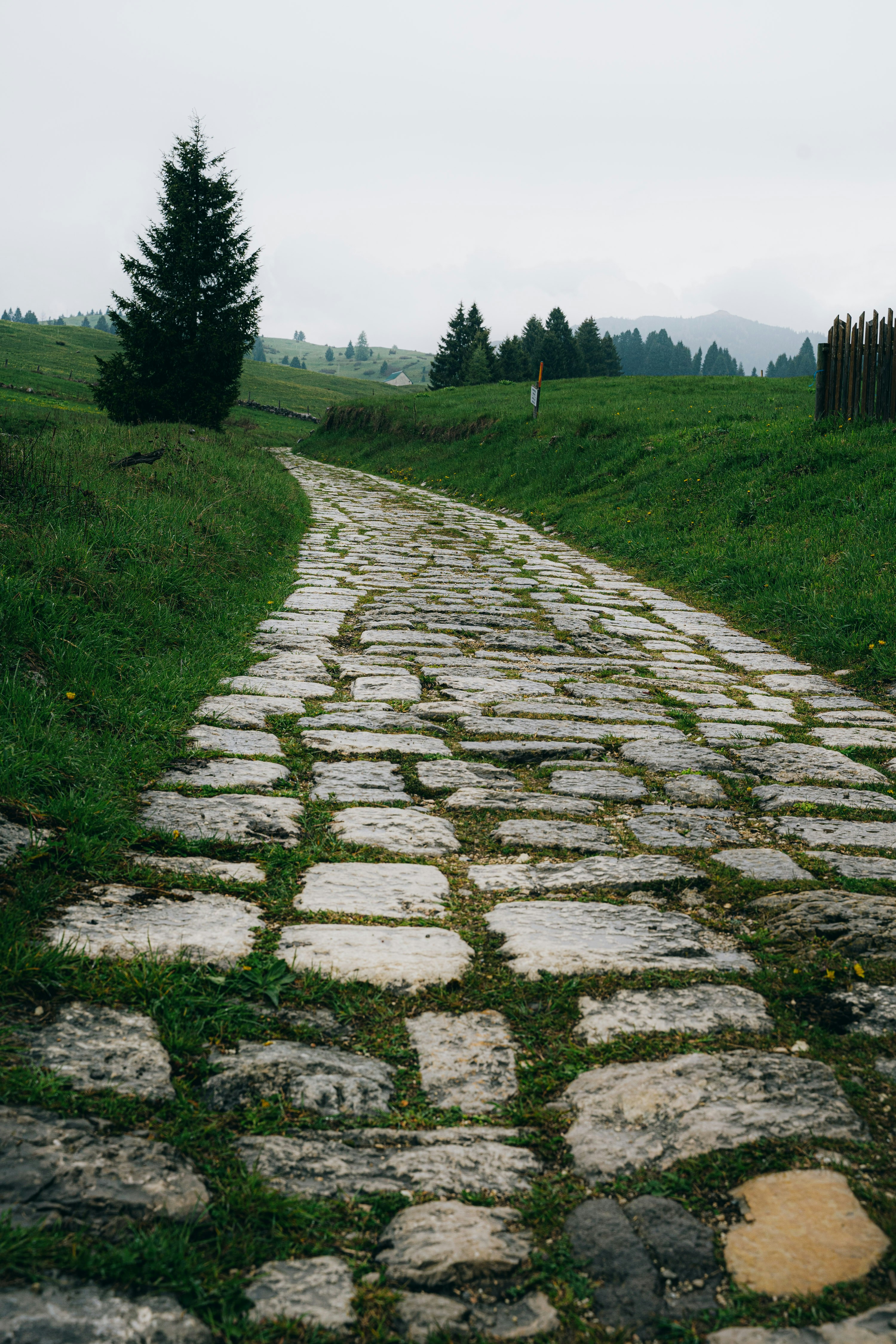 Stone Ribbon: A Cobblestone Path Through Rolling Green Hills
