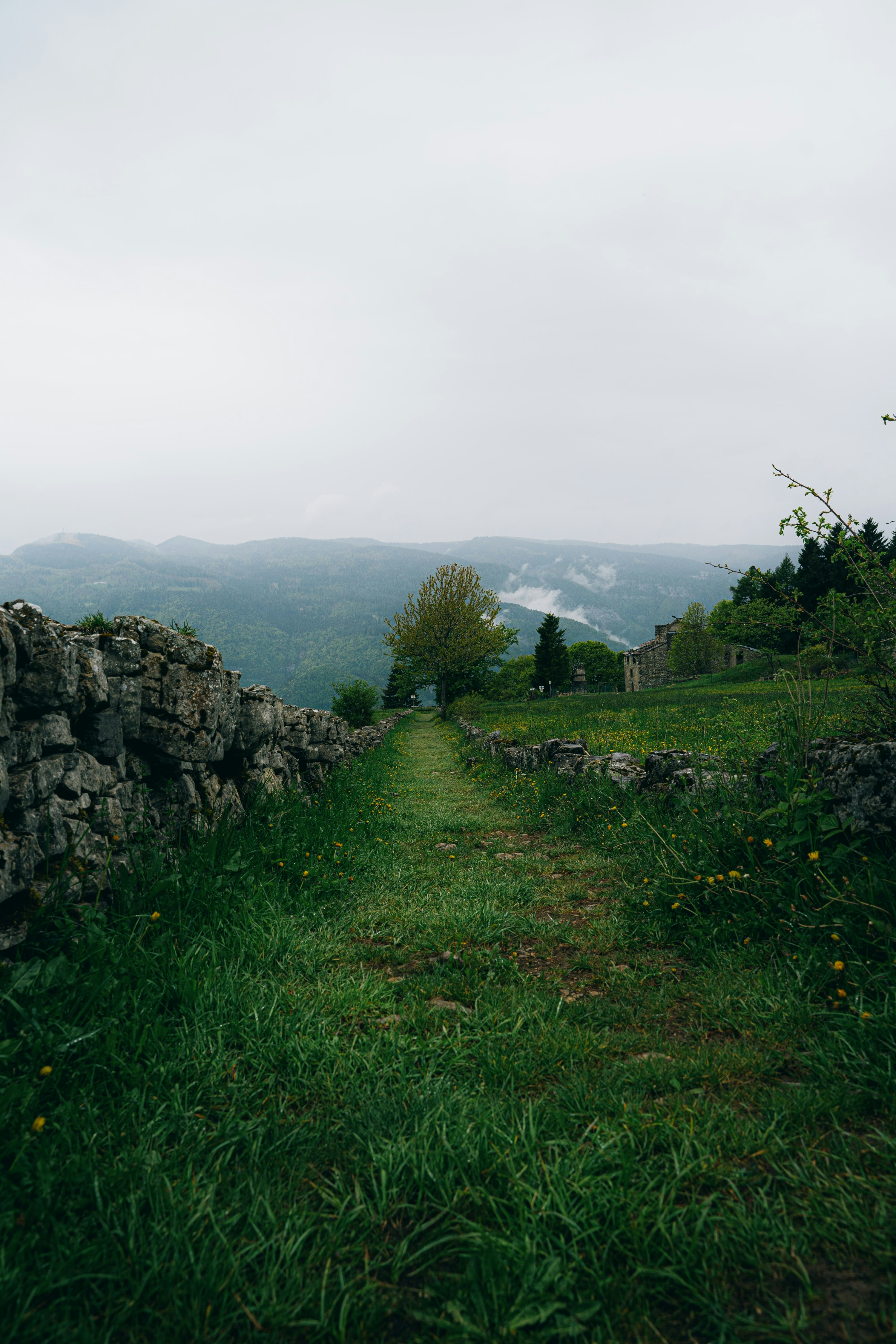 Trail Through Stone Walls Toward a Misty Valley