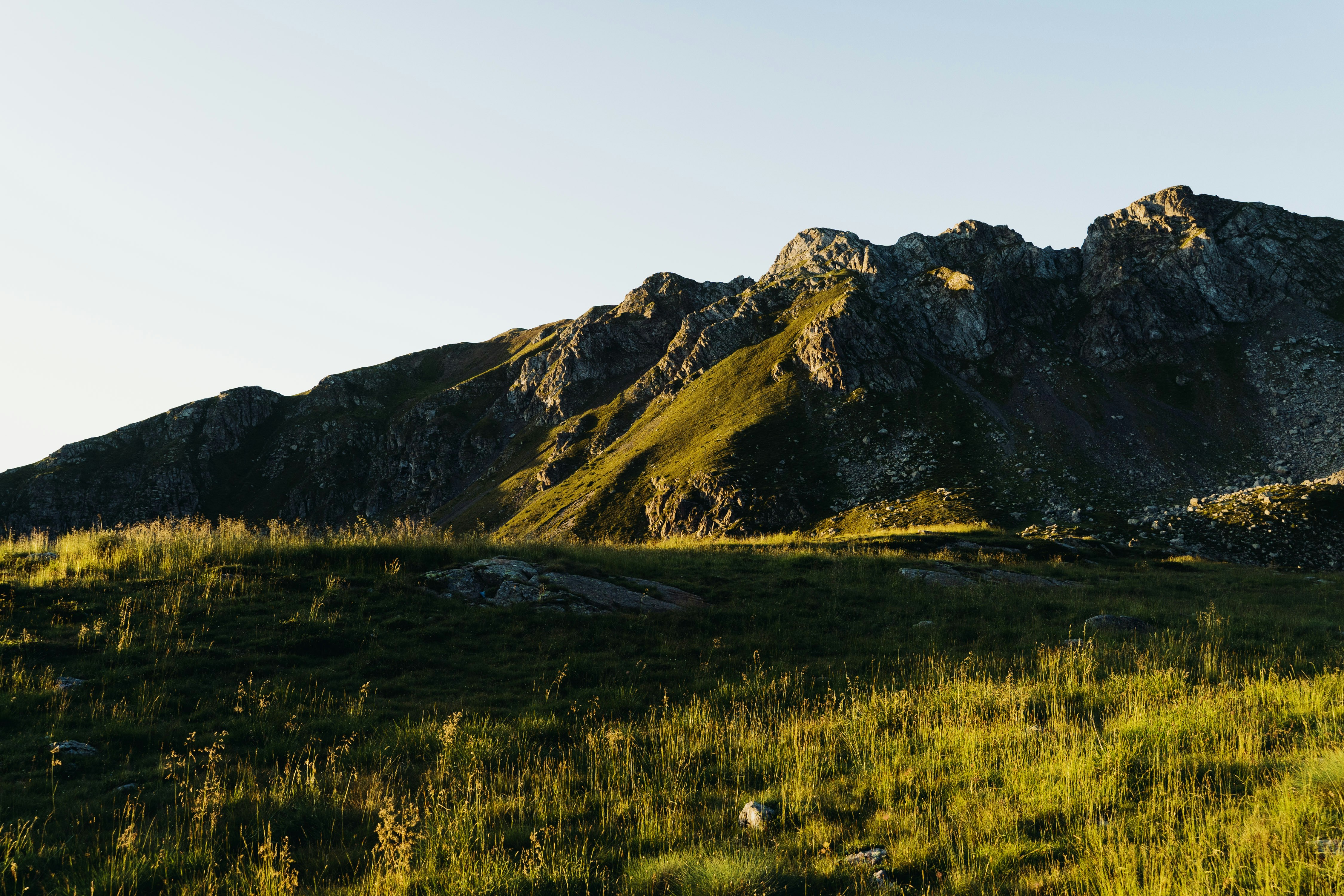 Golden Crest: Sunlit Ridge Above the Grass