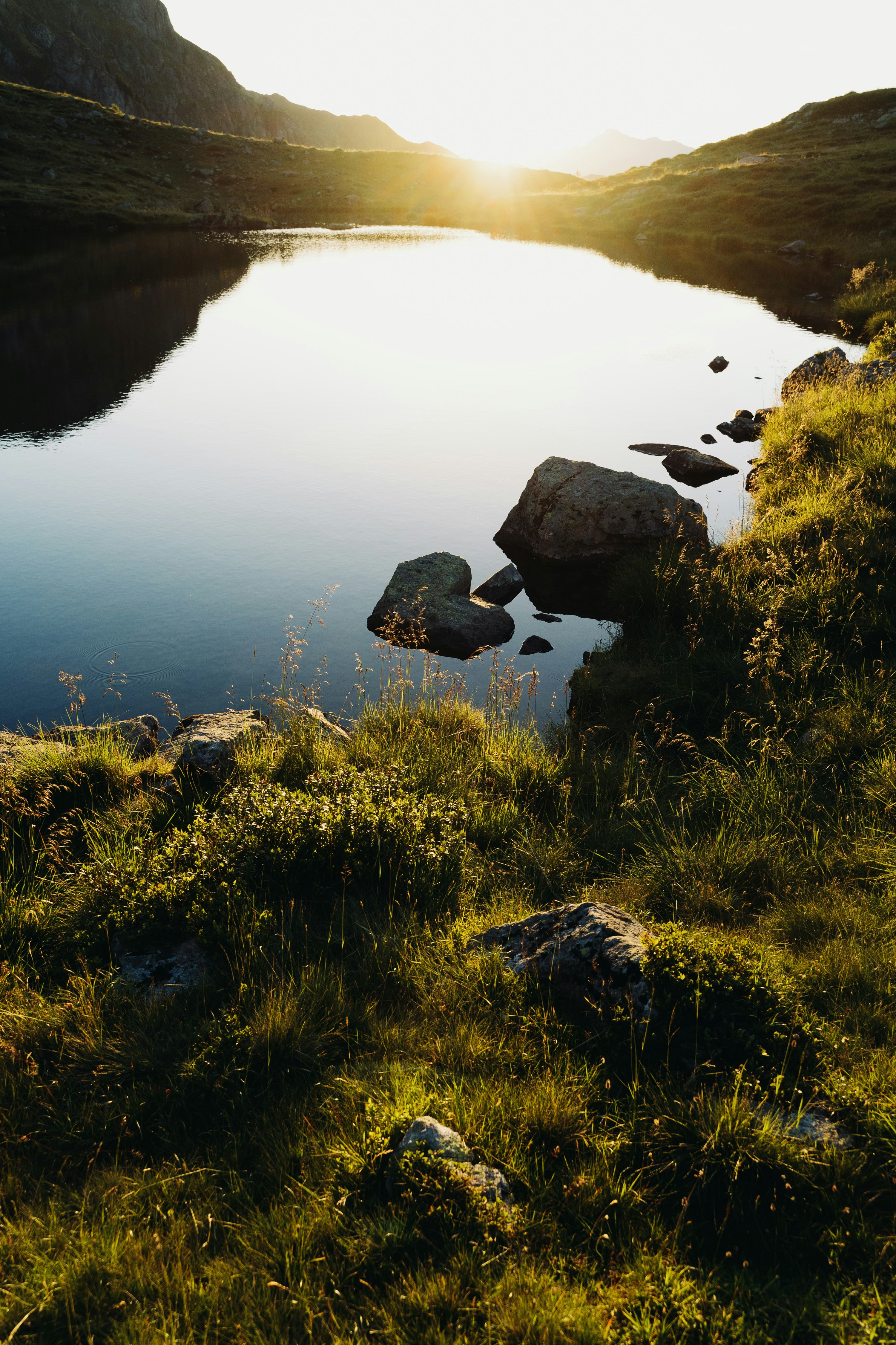 Sunlit Lake Edge: Quiet Meadow Meets Mirror-Like Water