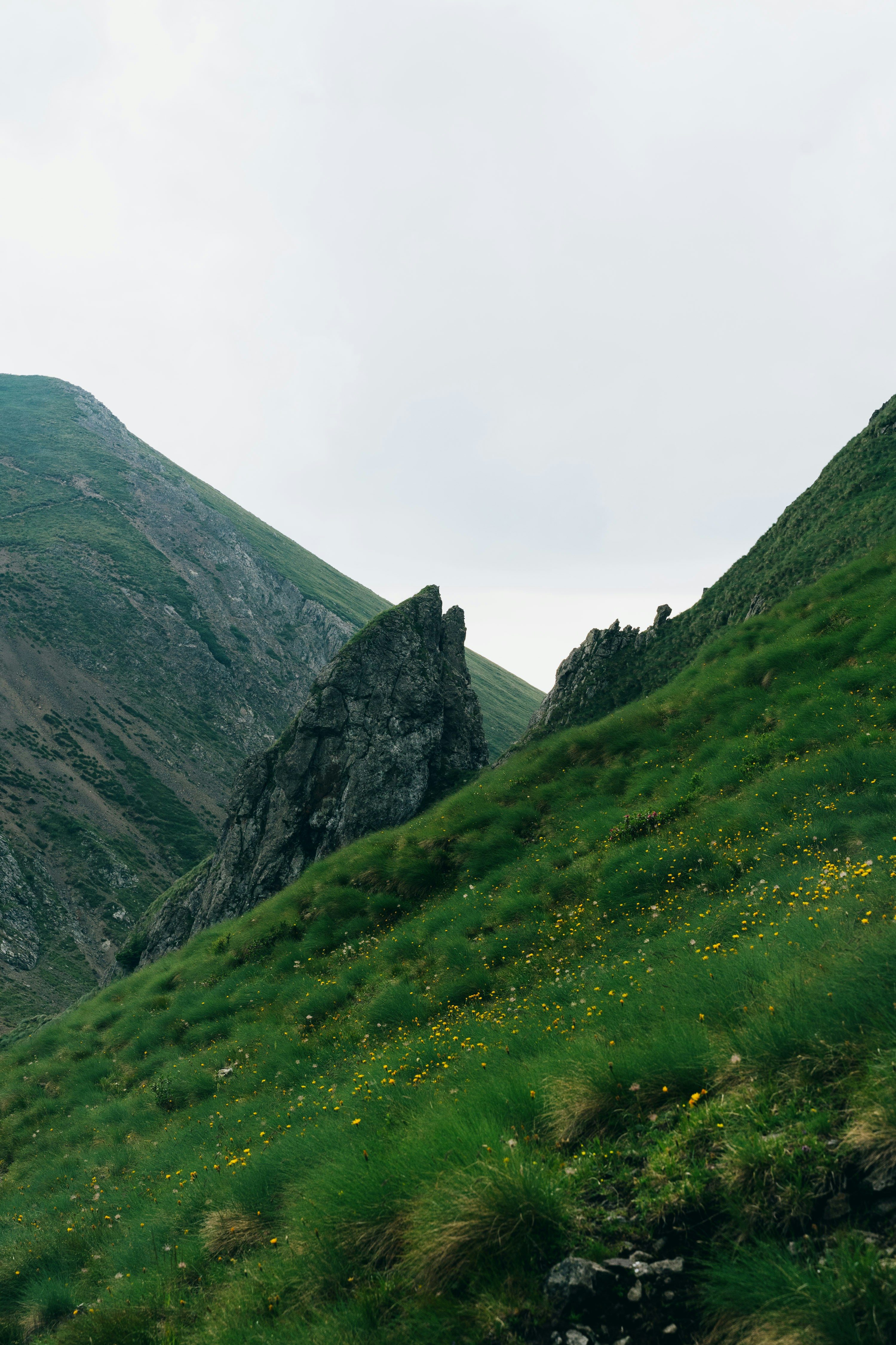 Whispering Ridge: A Green Slope Carved by Mountain Winds