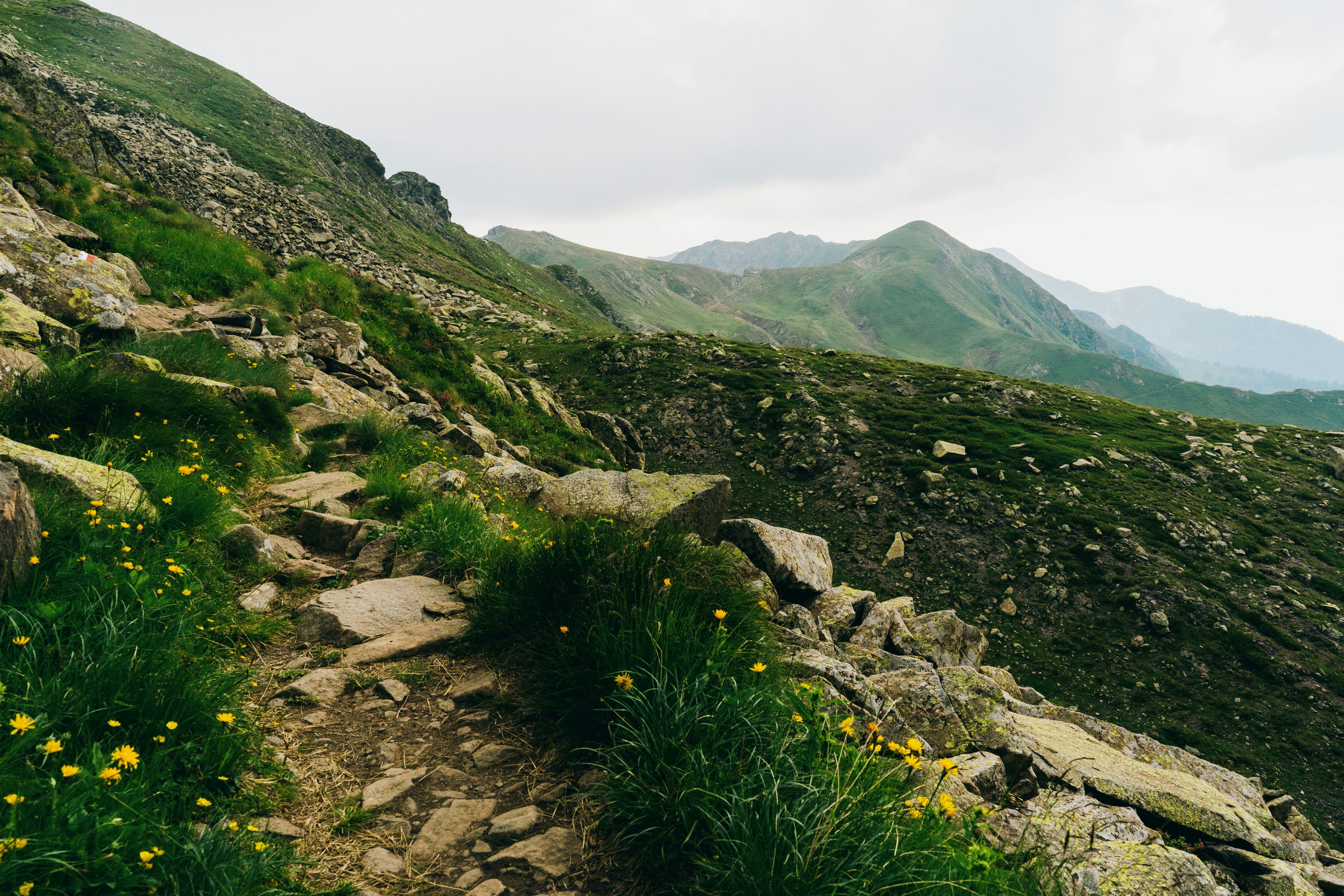 Stone Staircase to the Mountain Crest