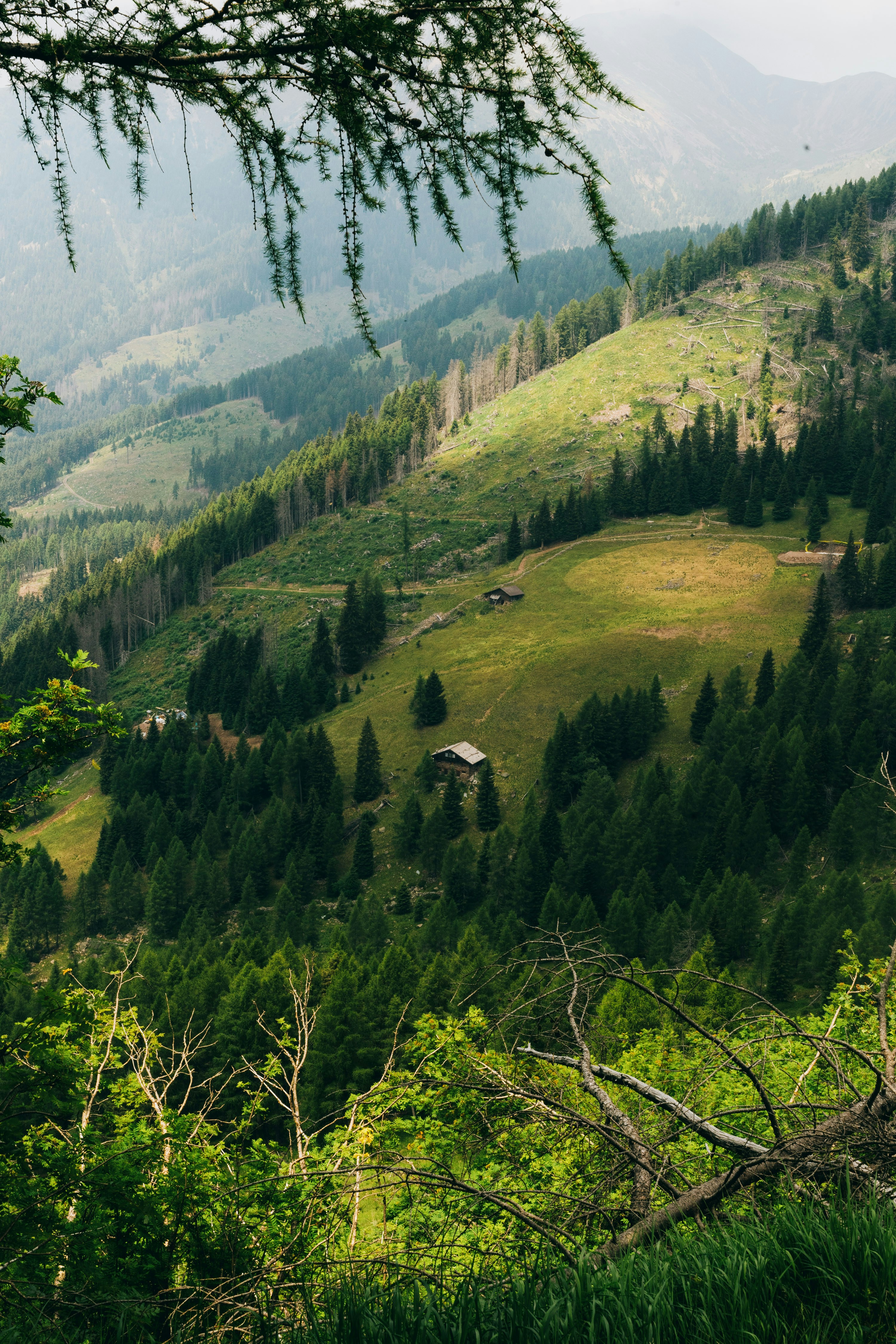Verdant Alpine Slopes with Hidden Cabin