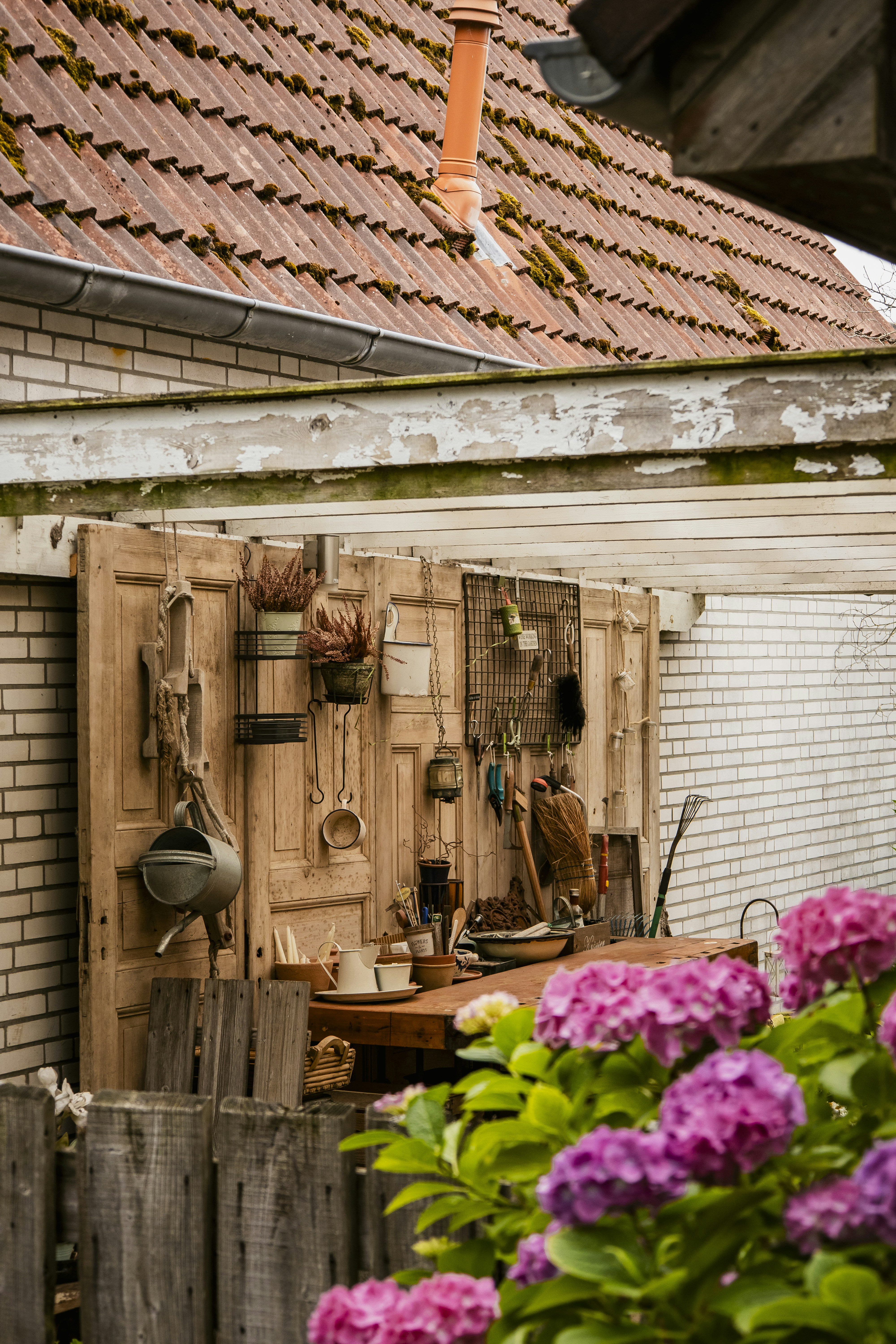 Dusty toolboard and pink hydrangeas by a rustic shed