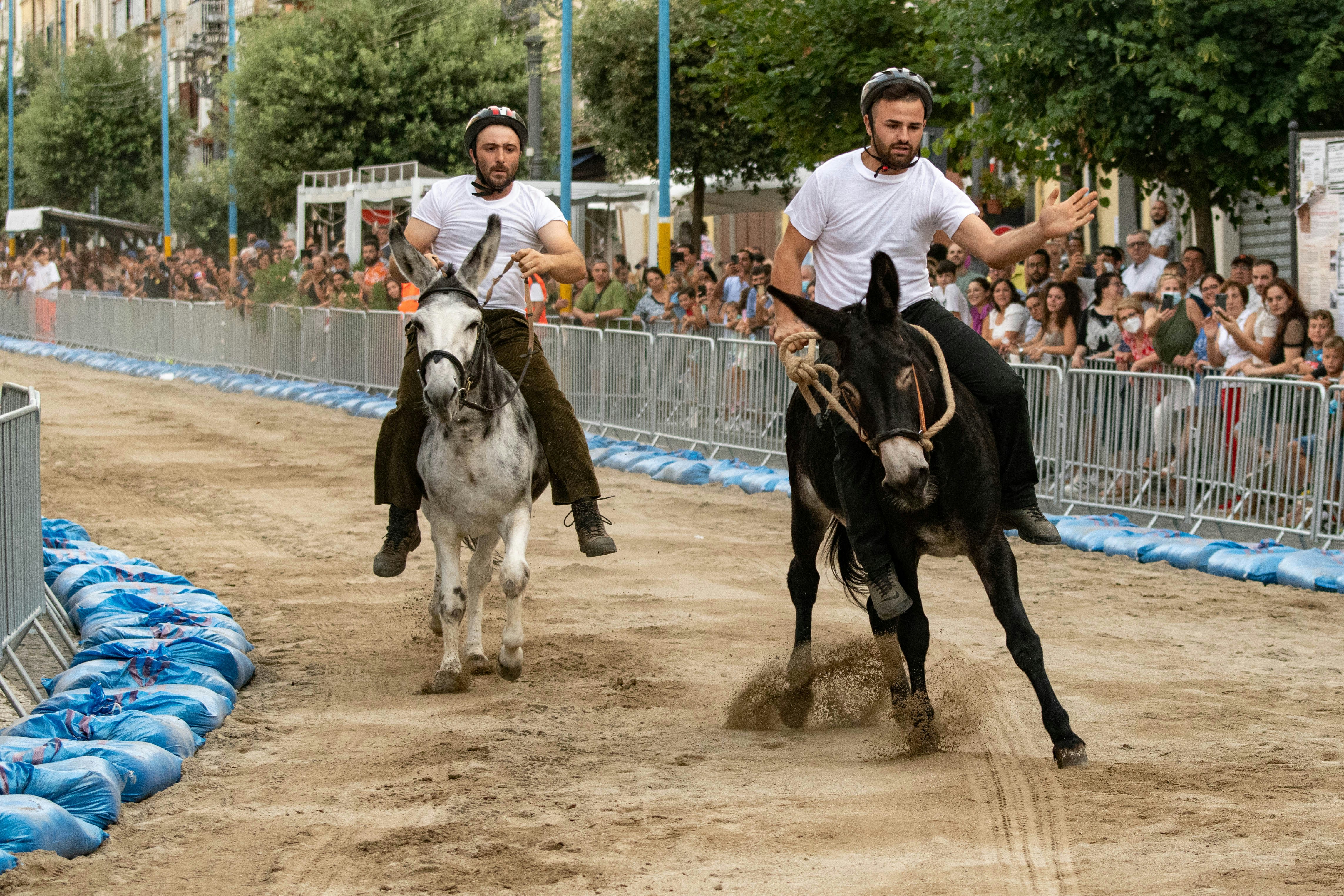 Twin riders, sprinting horses: a crowded arena race unfolds