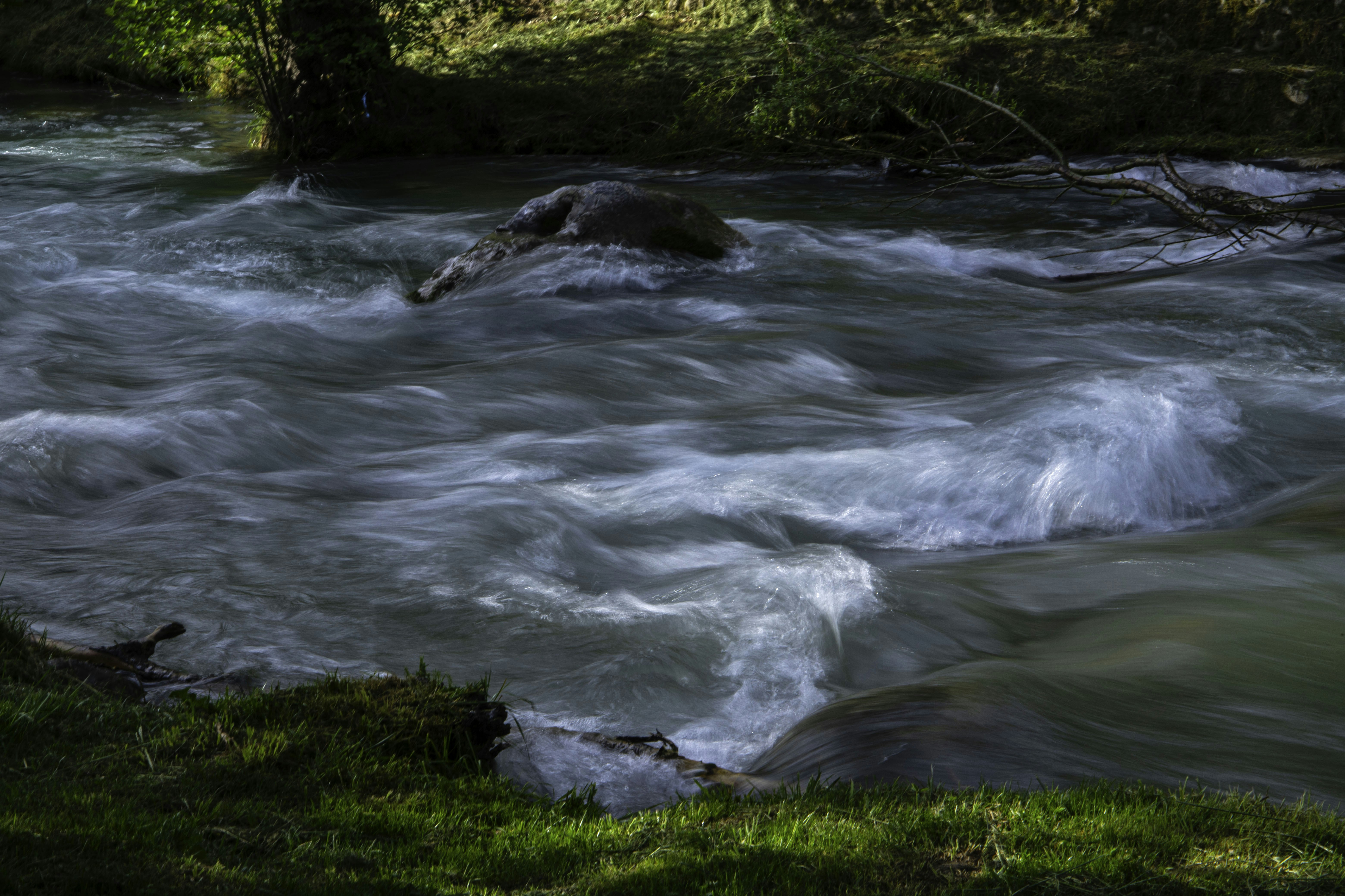 Rush of Mountain Stream Through Shaded Banks