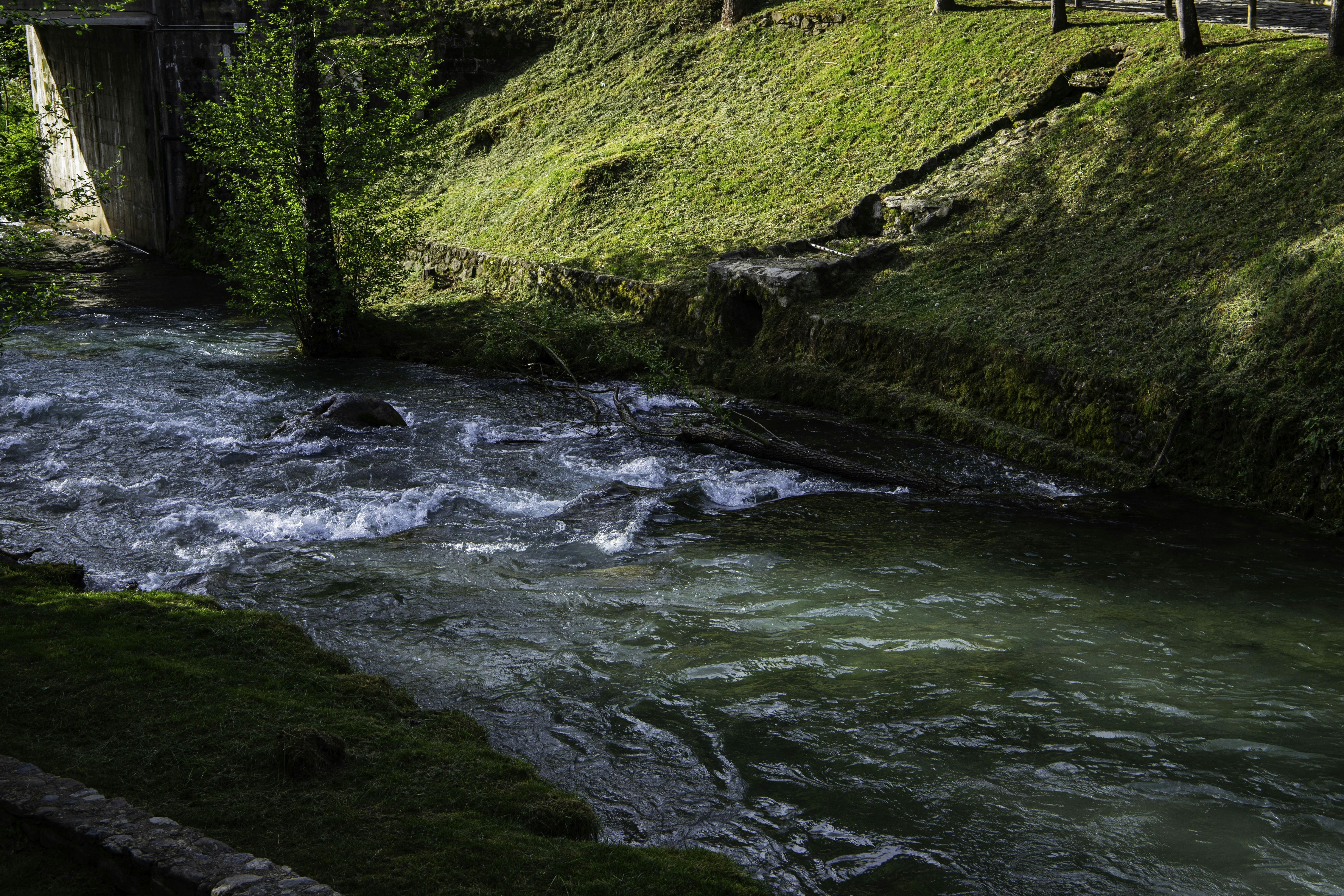 River Bend Under Green Canopy by The Old Weir
