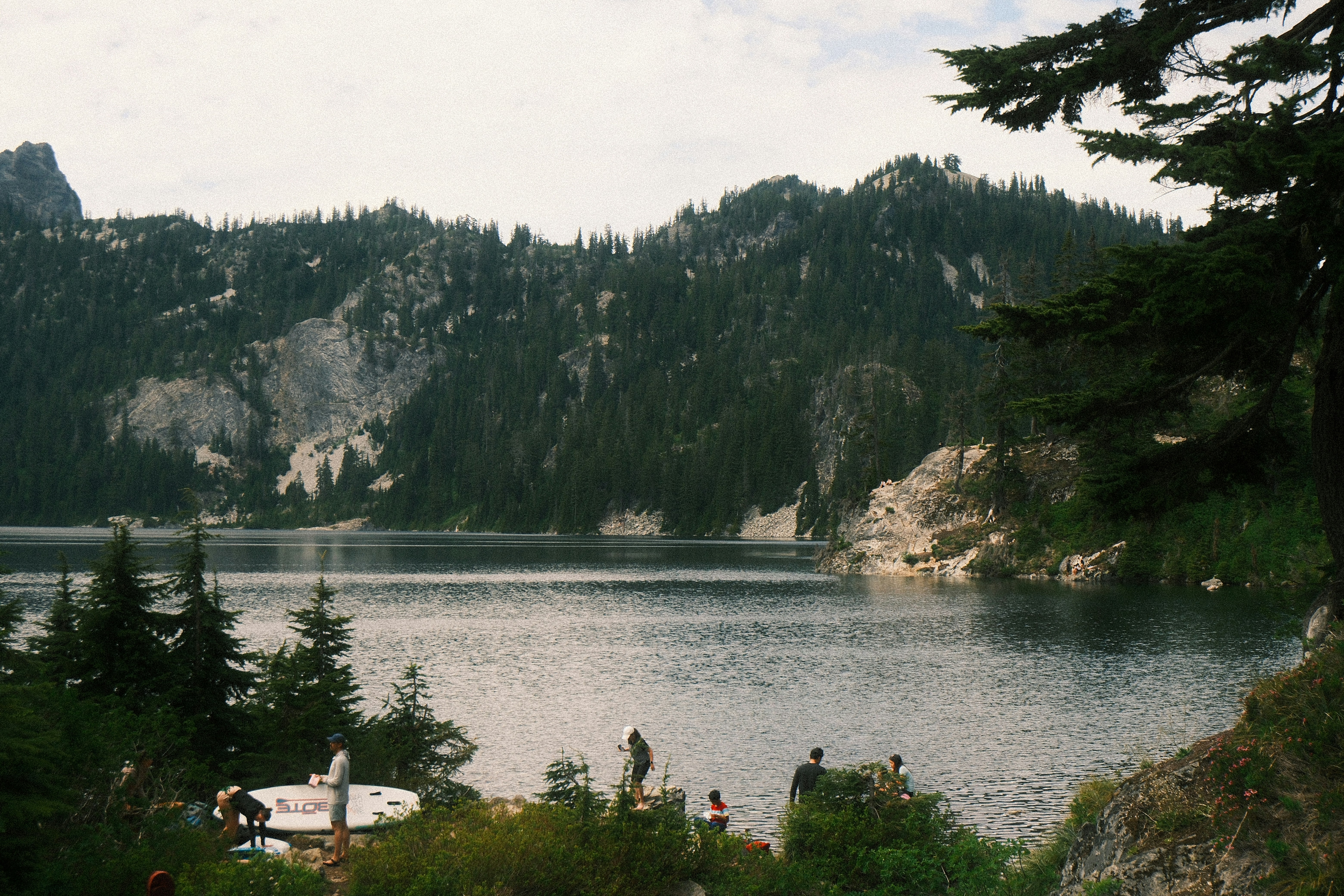 Lakeside Canyon: People, Boats and Pine-Strewn Shore