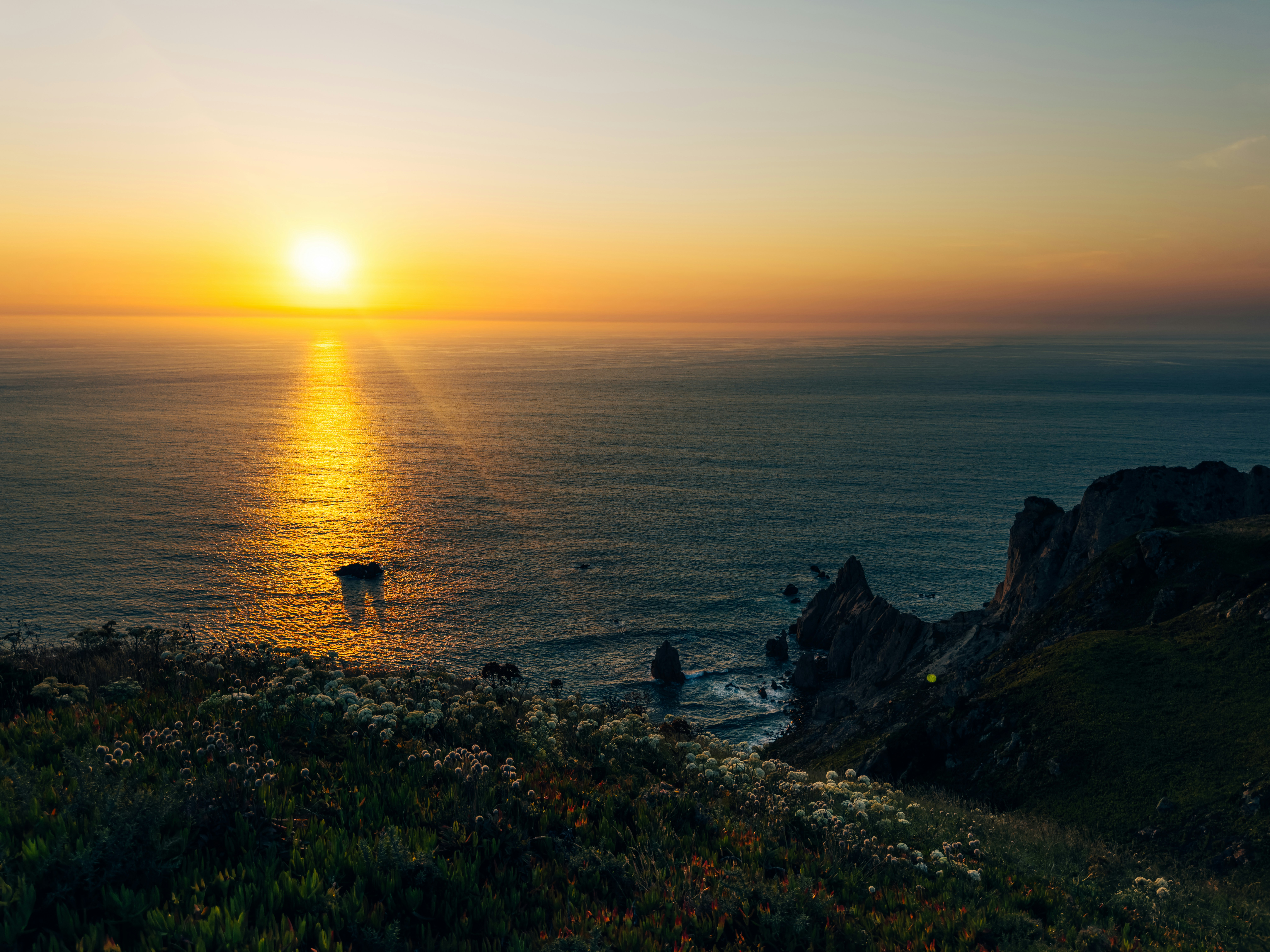 Sun-kissed Cliffside: Golden Light Over the Ocean