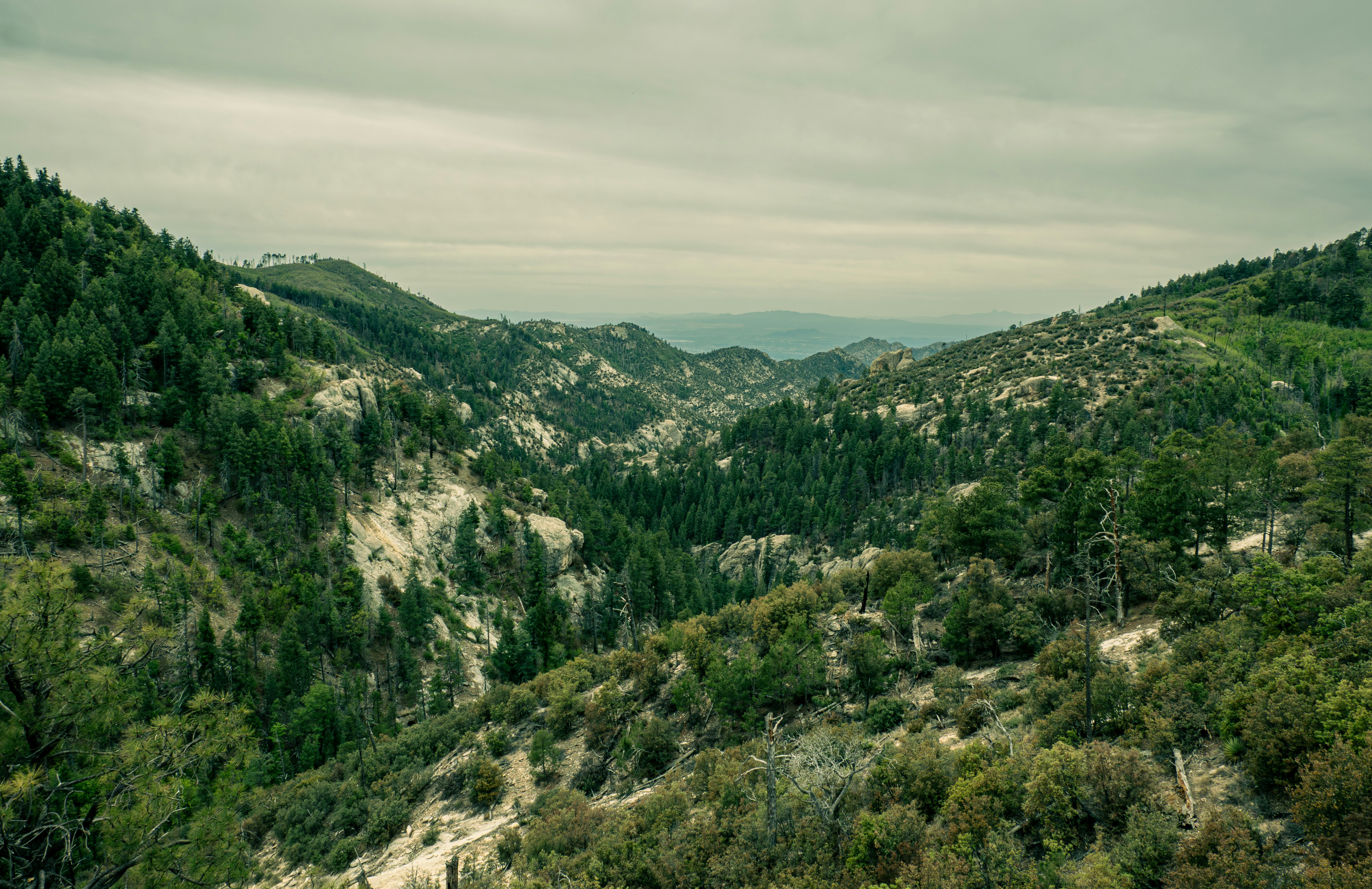 Ridge-and-Valley Panorama Under a Calm Overcast Sky