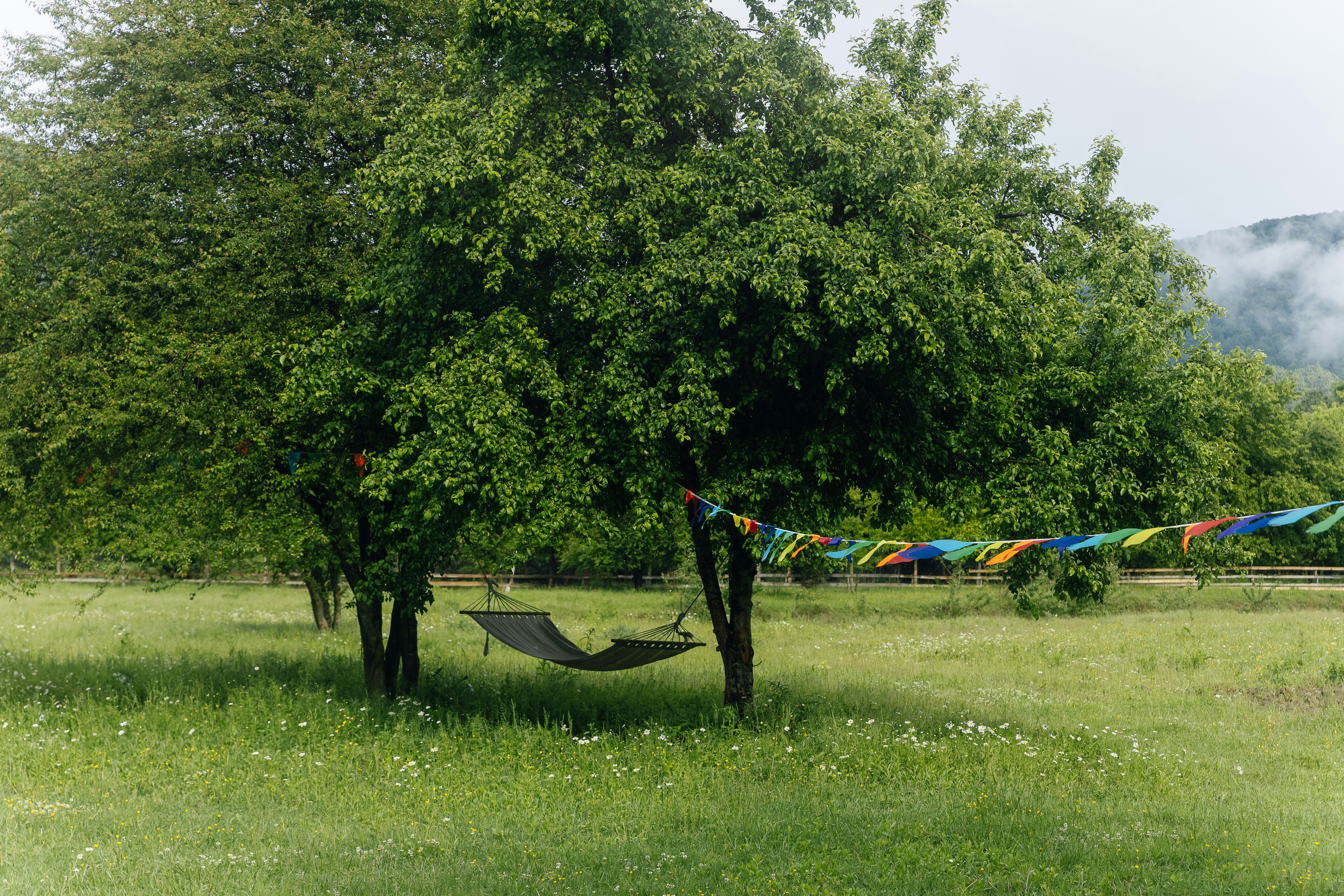 A grassy meadow with a hammock hung between two trees, string of colorful prayer flags or bunting overhead, and distant forest with low mountains; a calm outdoor camp-like scene.