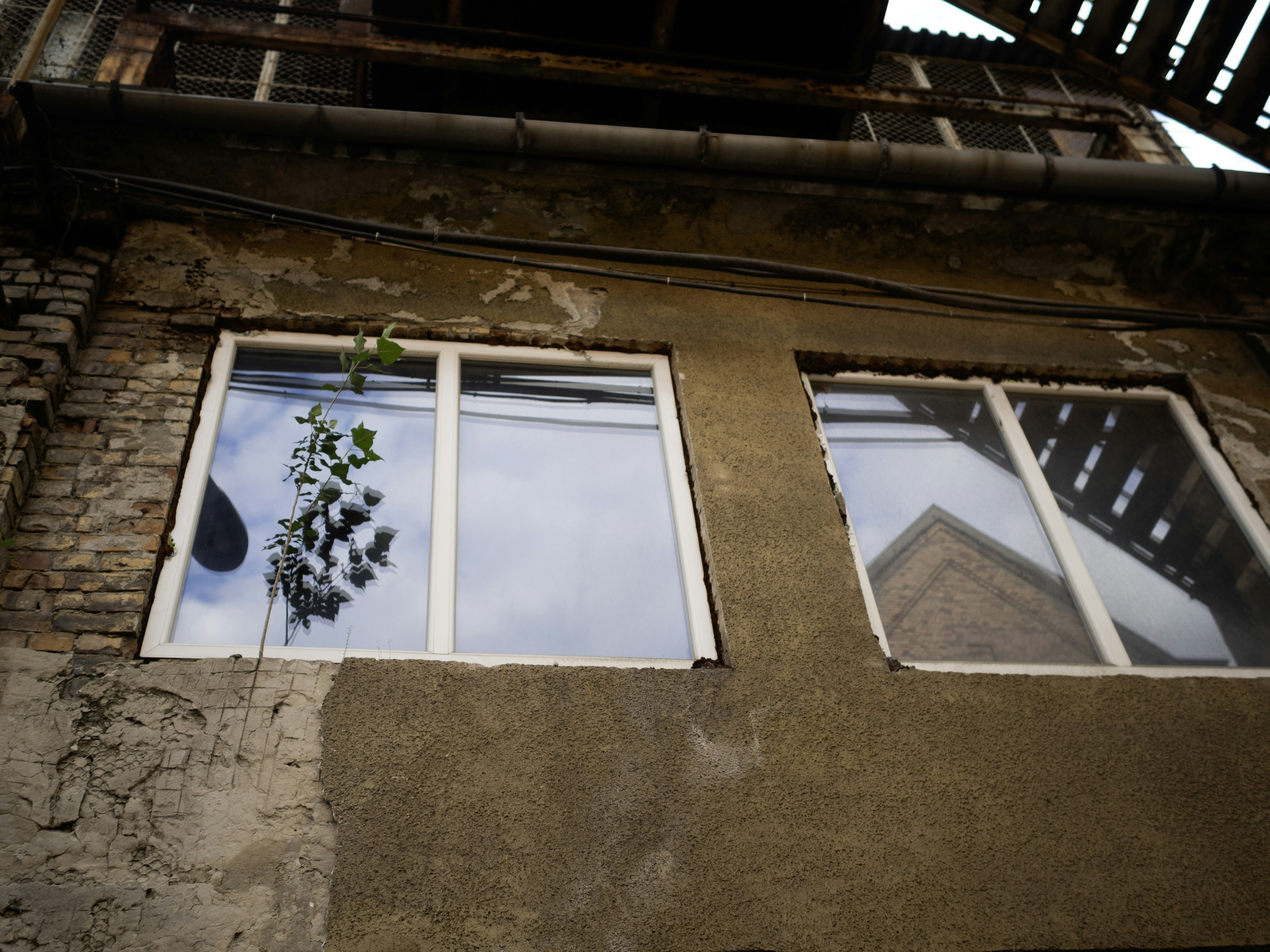 BrokenFacade Reflections: Two Windows and a Hanging Vine