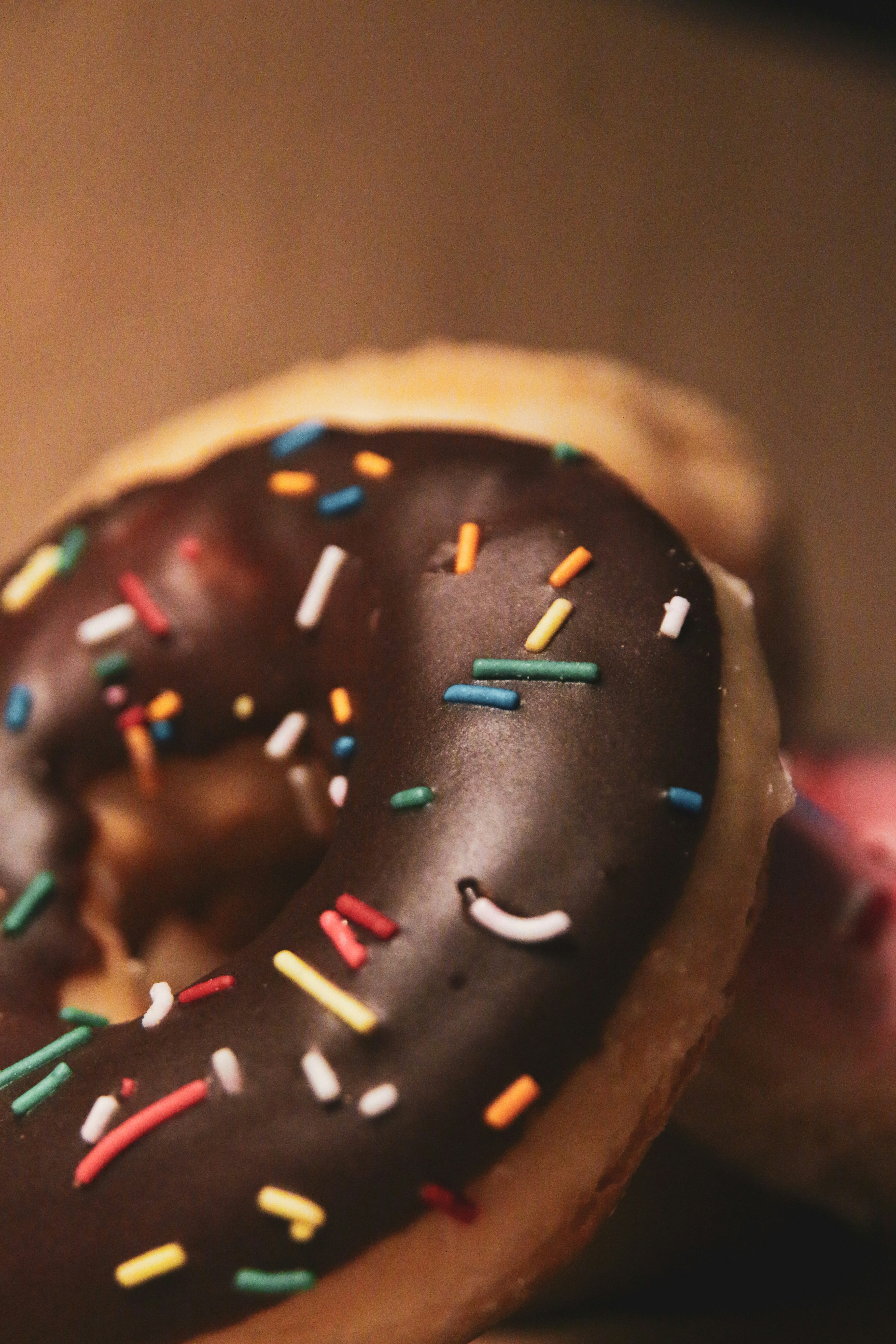 Chocolate-glazed donut with rainbow sprinkles in close-up