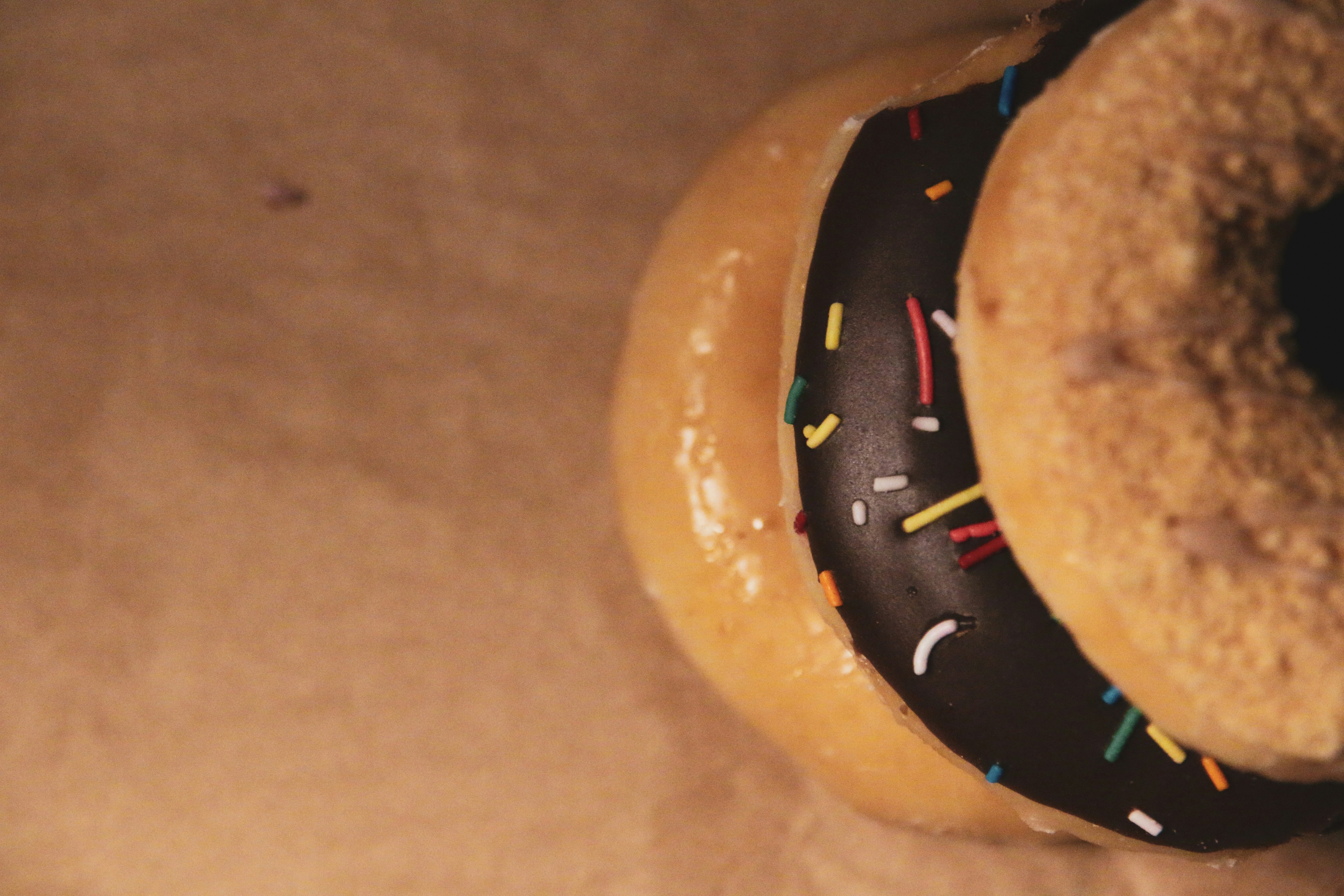 Sugared Spotlight: Donut with Cocoa Icing and Colorful Sprinkles
