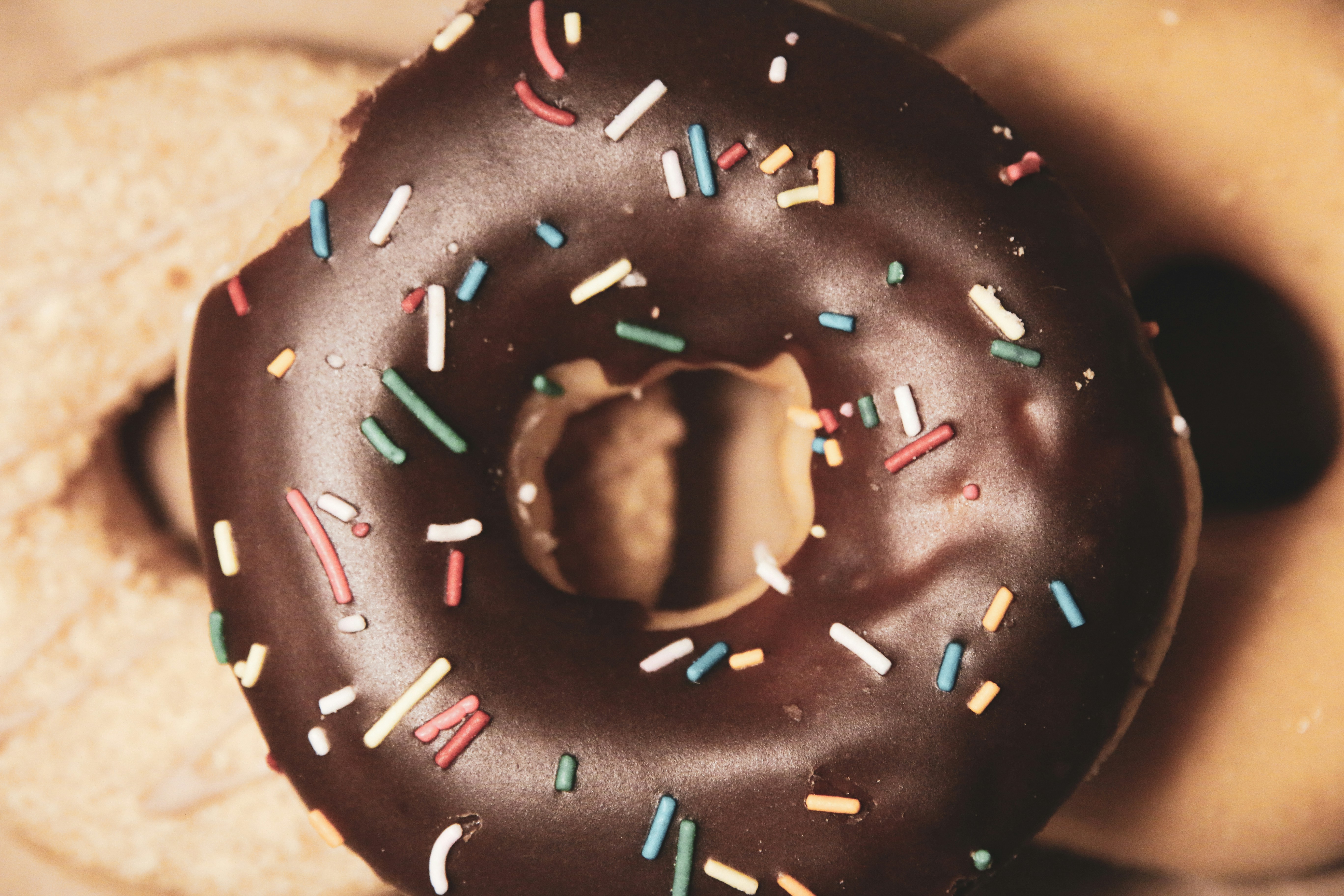 Chocolate Ring: A Sugary Focus on Donut Texture