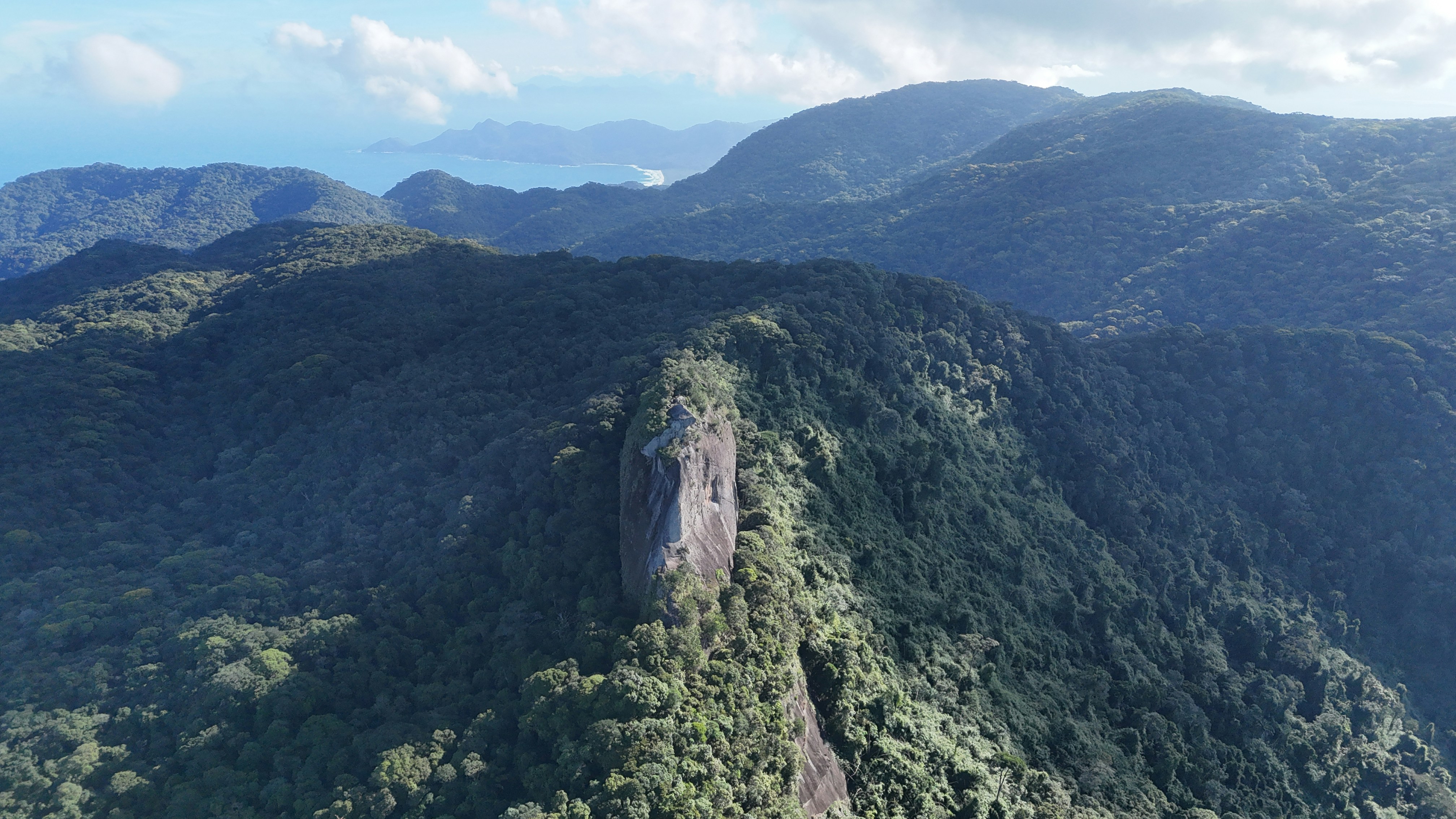 Limestone Sentinel: A Desolate Ridge Crowned by Verdant Foliage