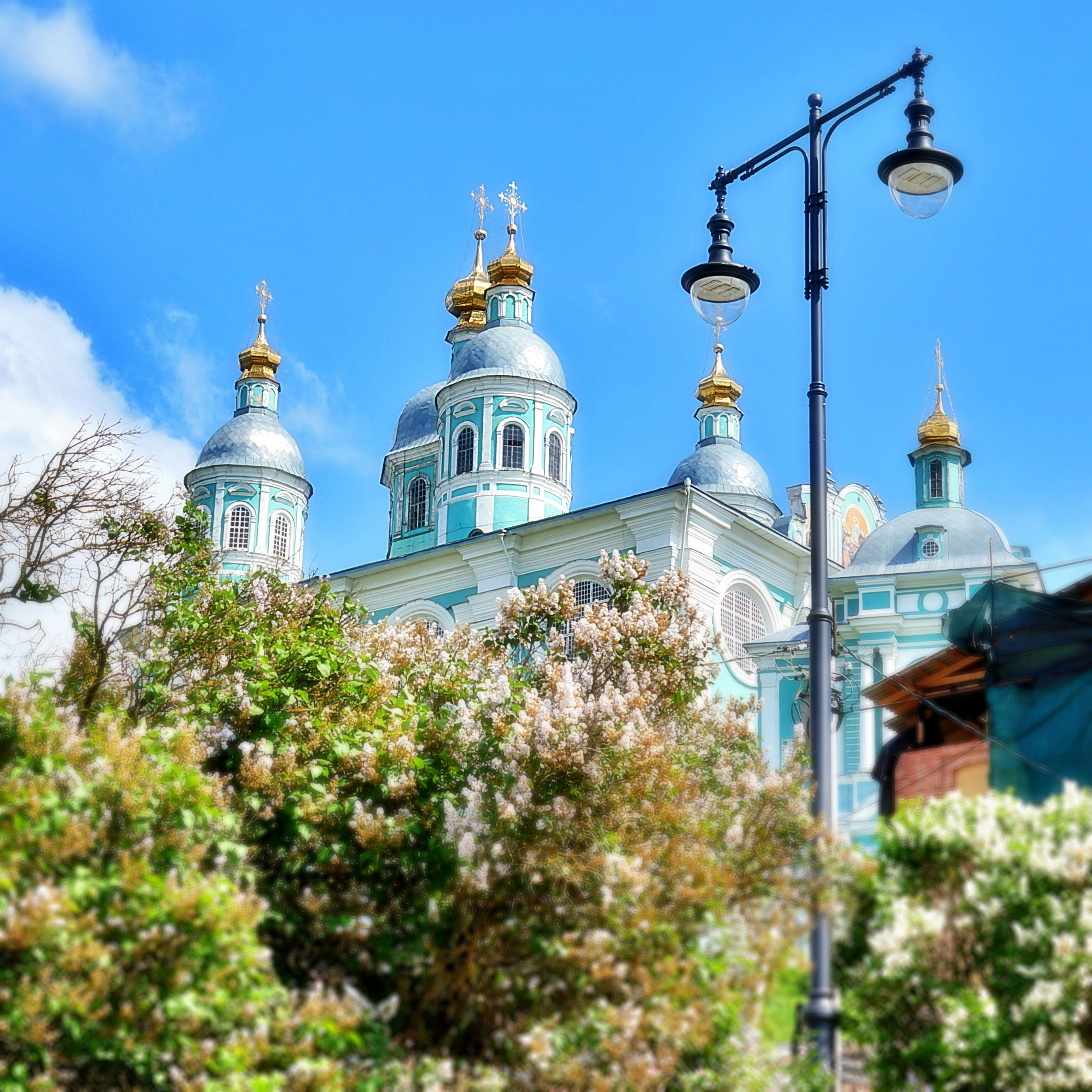 Turquoise Orthodox Domes Behind Blossoms and a Street Lamp