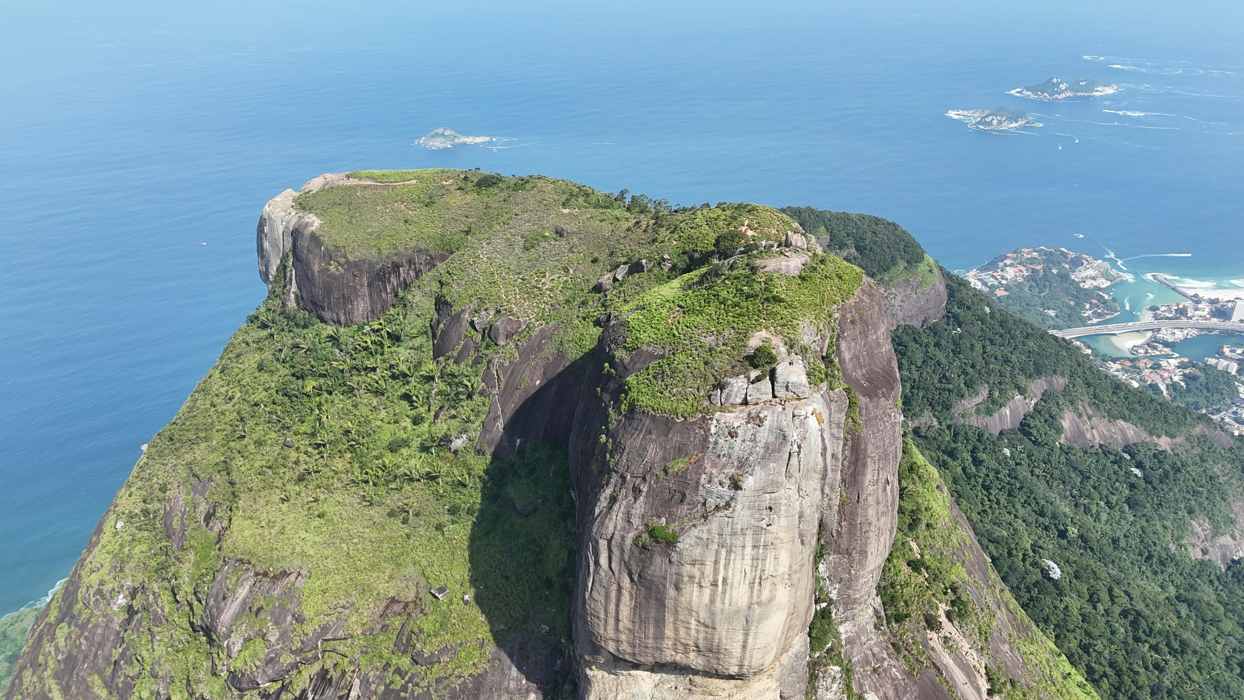 Cliff Crown Over Pacific: A Green Cap Embracing the Sea