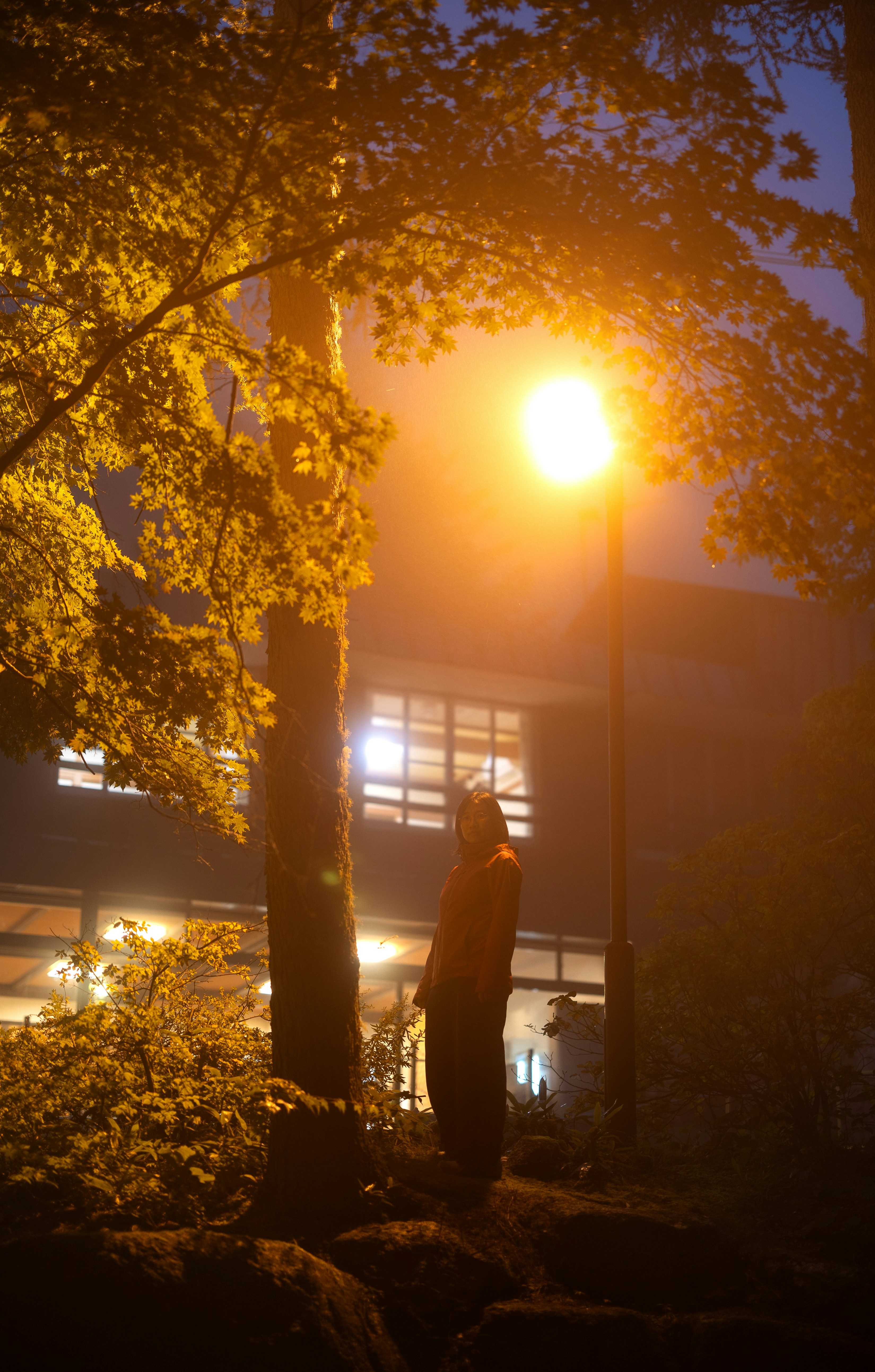 Under the Streetlight, Quiet Figure Amid Autumn Night