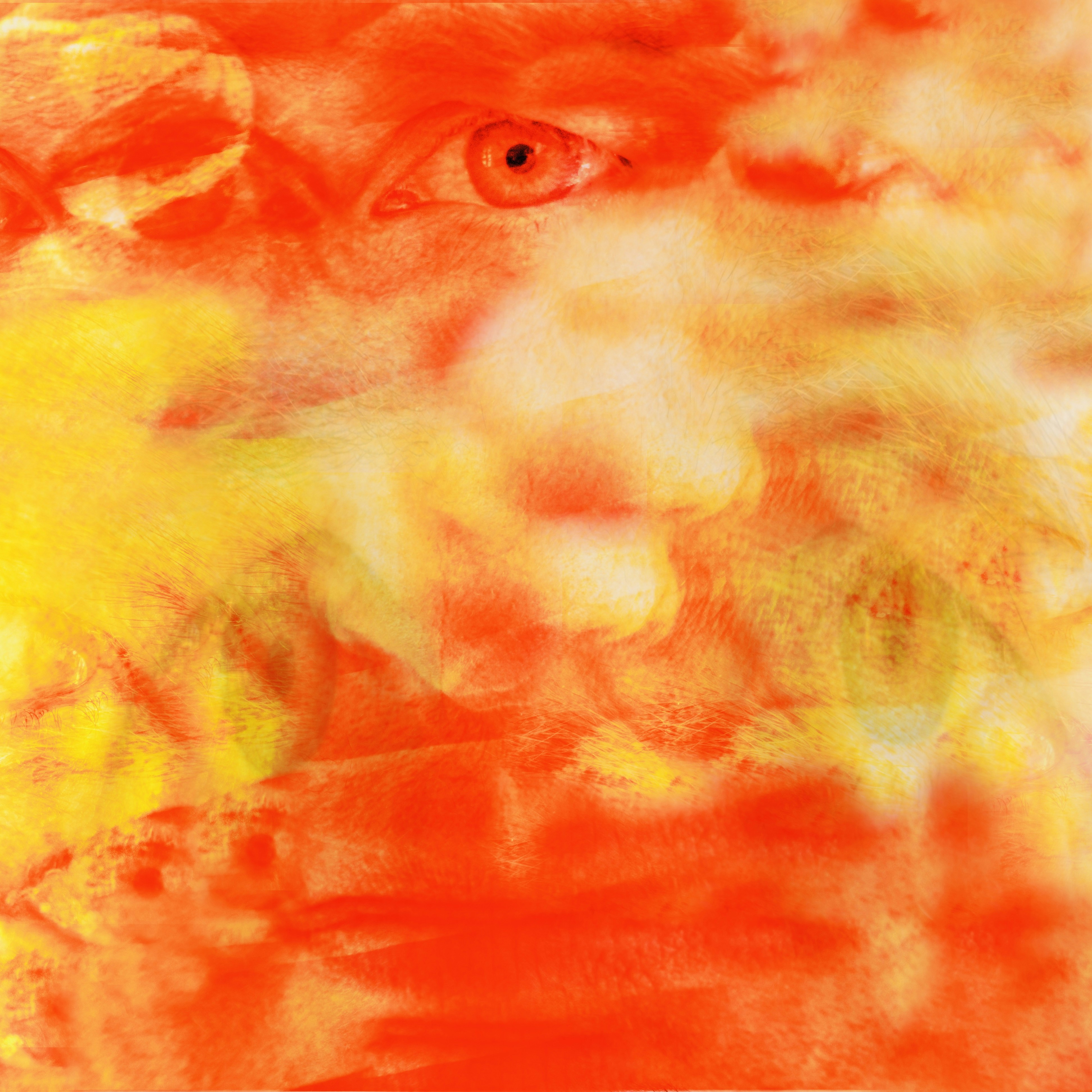 Emerald Inferno: A Fragment of Heat and Gaze