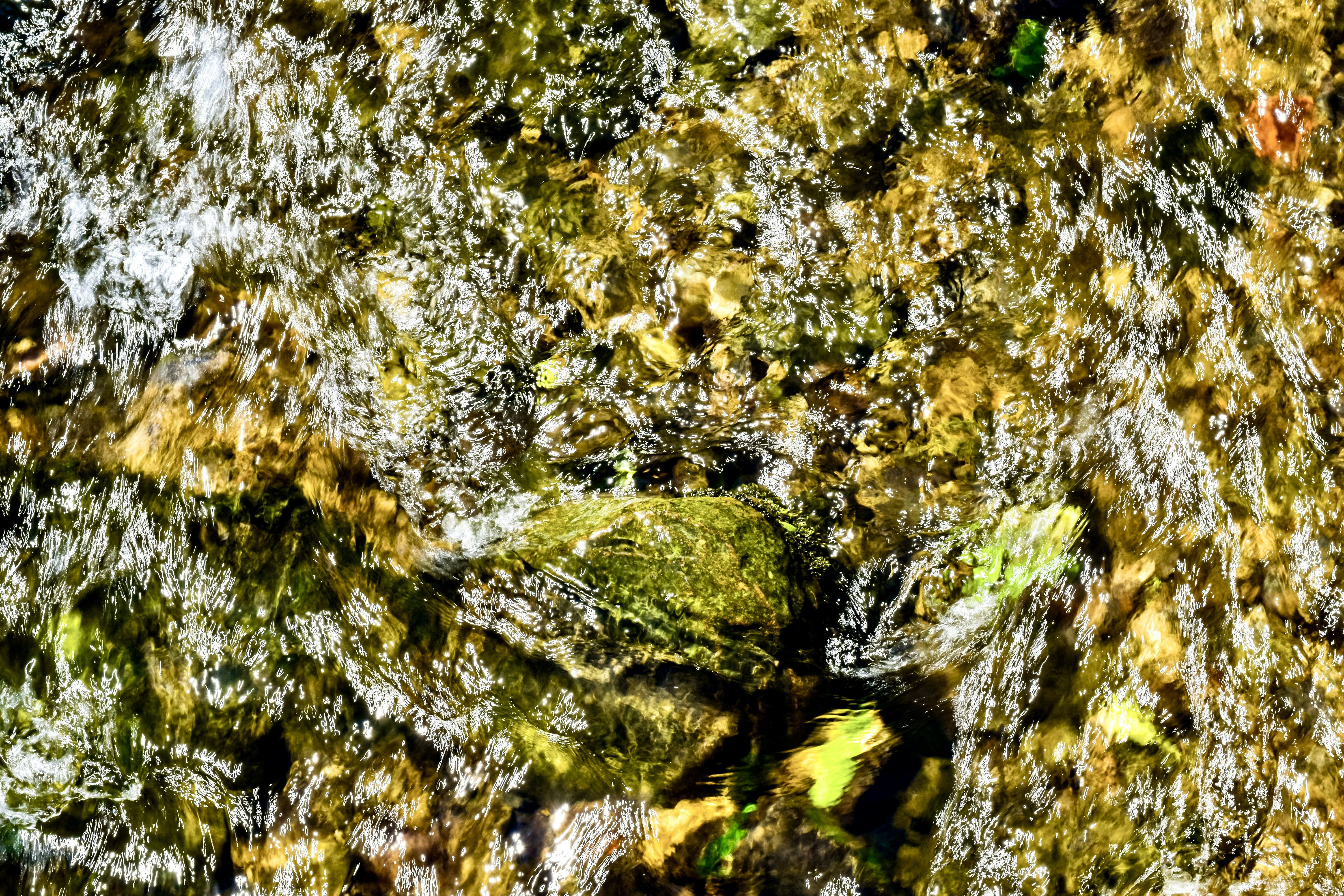 Moss and Pebble Ripple: Autumn Streambed in Motion