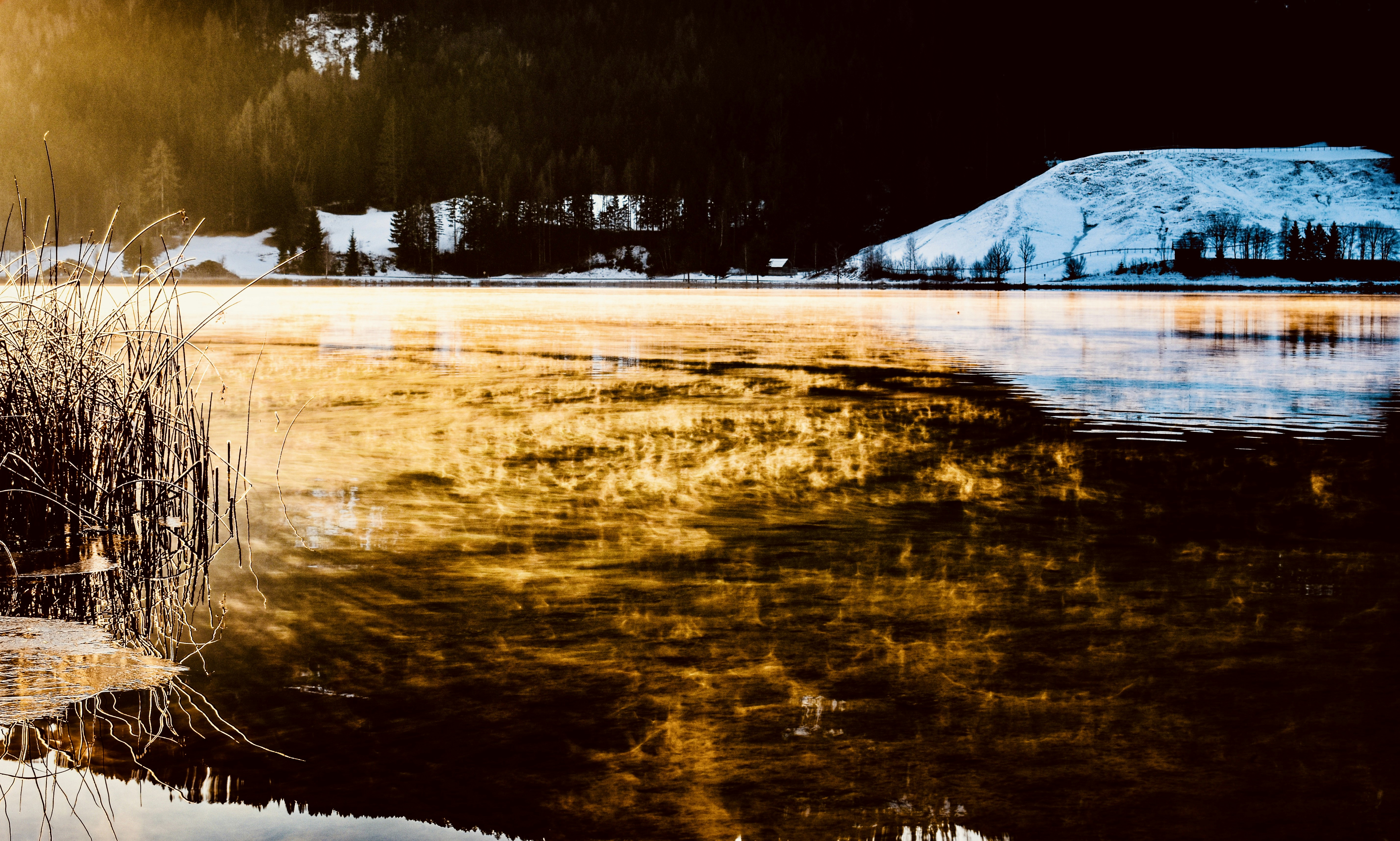 Golden Shoreline Reflections at Dusk