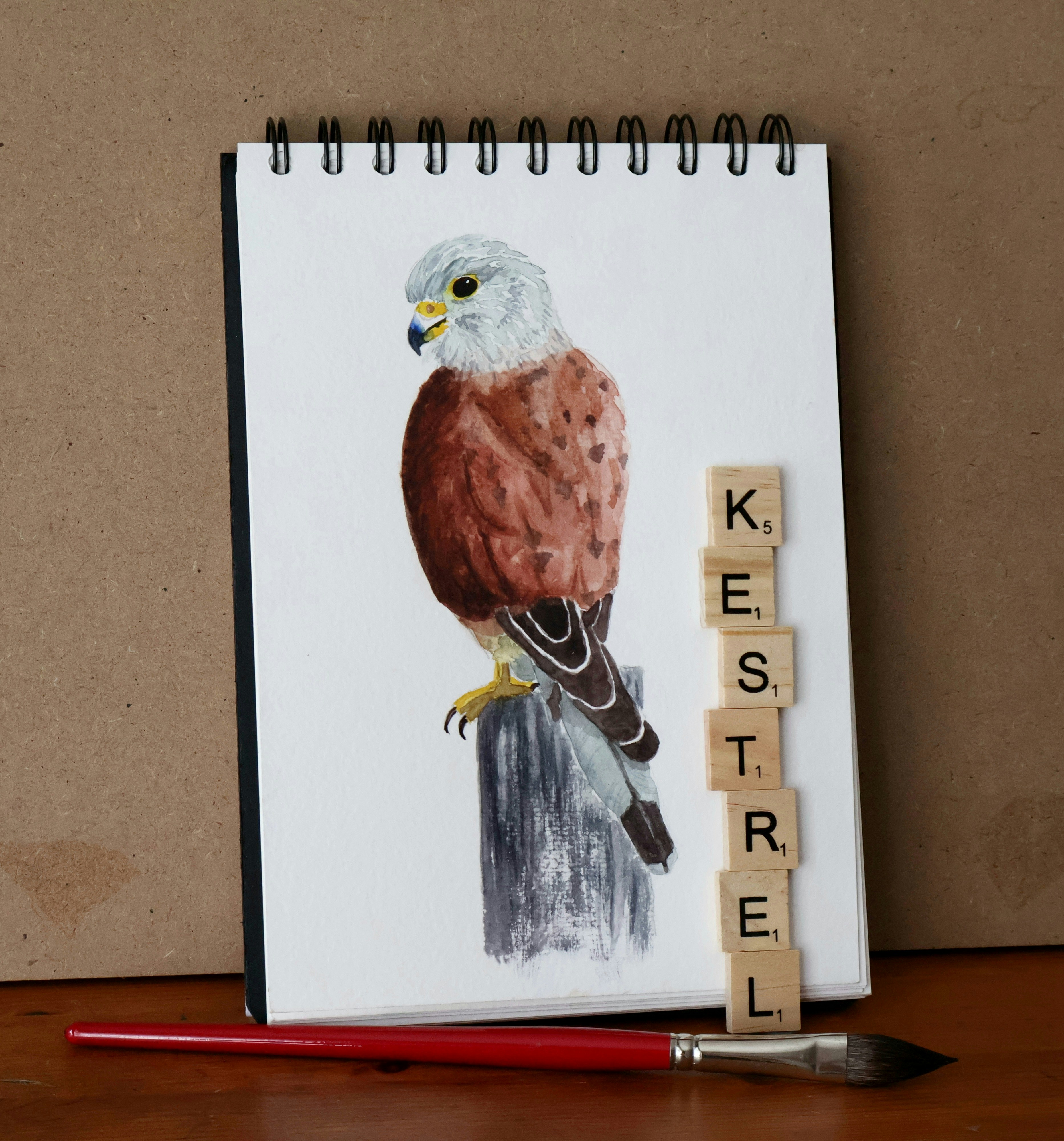 A painted hawk on a stack of letter tiles spelling KESTREL