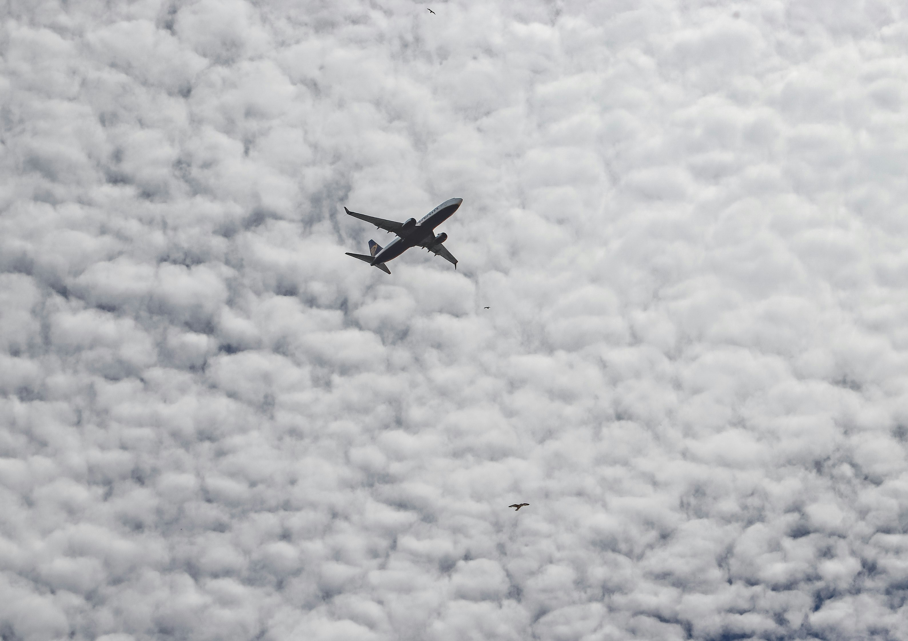 Two airplanes glide through a clouded sky, one larger near the top-left and a smaller silhouette below, capturing motion and depth against a textured backdrop of altocumulus clouds.