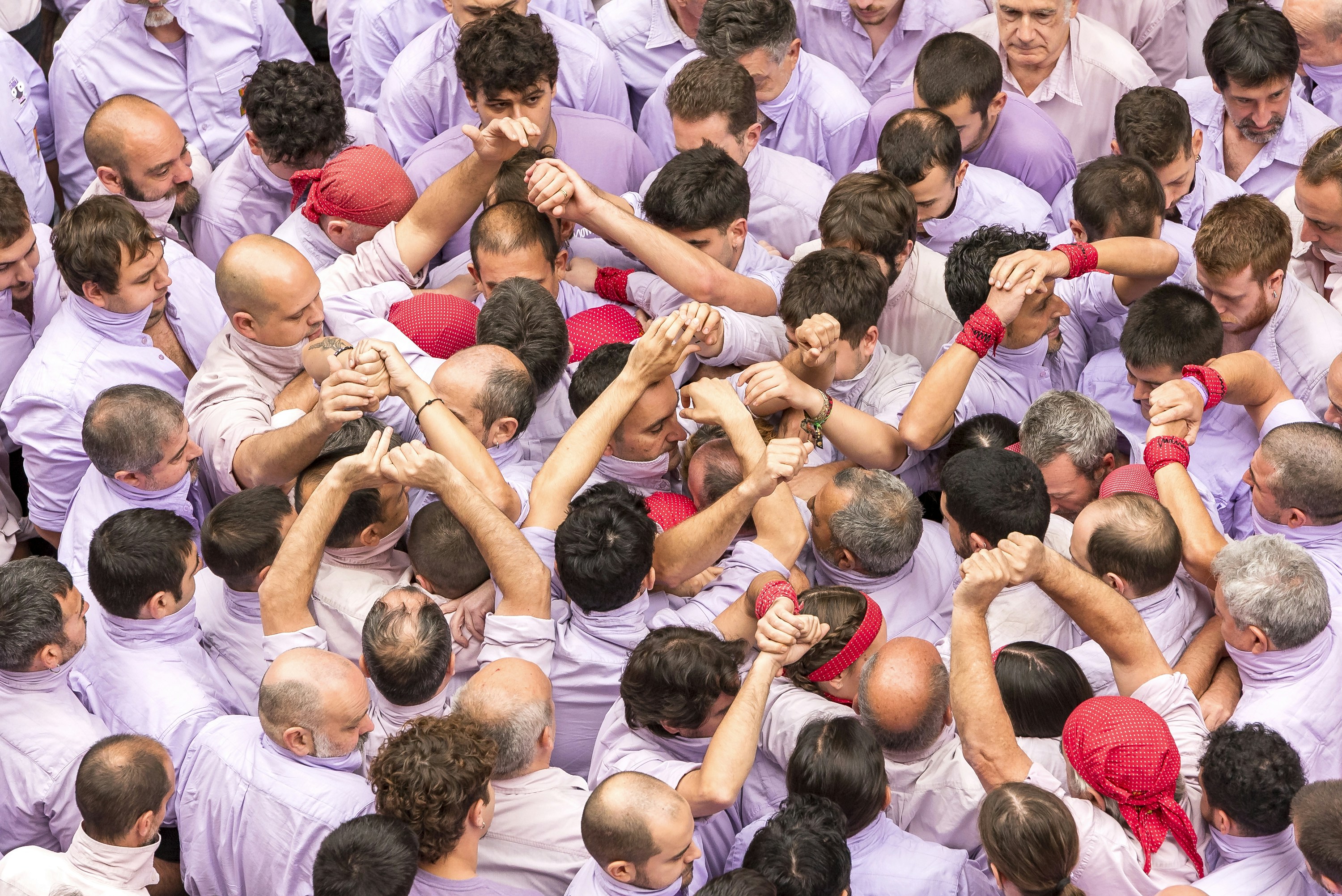 Tightly Packed Grape of Purple Shirts Rallying Hands