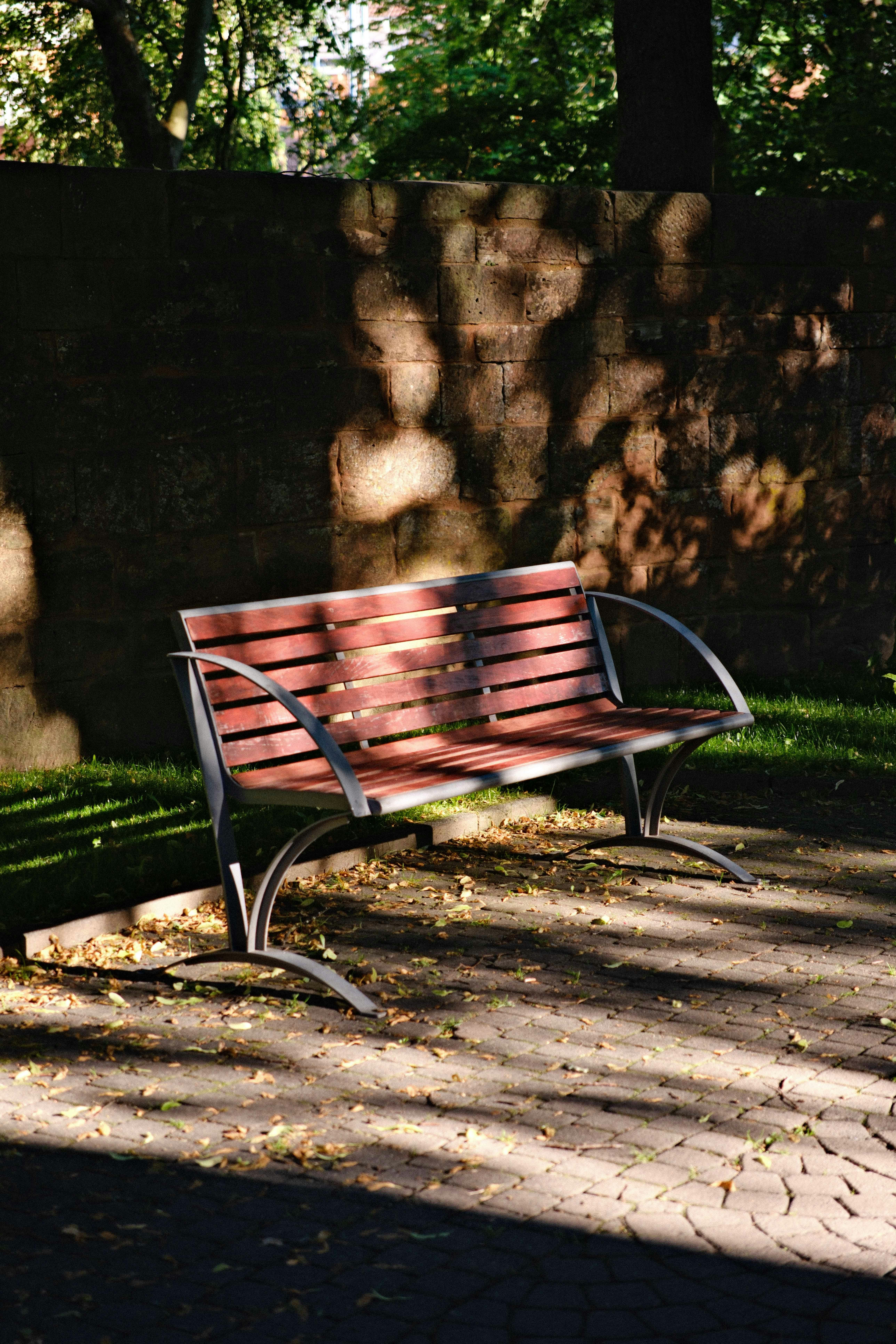 Sunlit Park Bench Amid Dappled Shadows