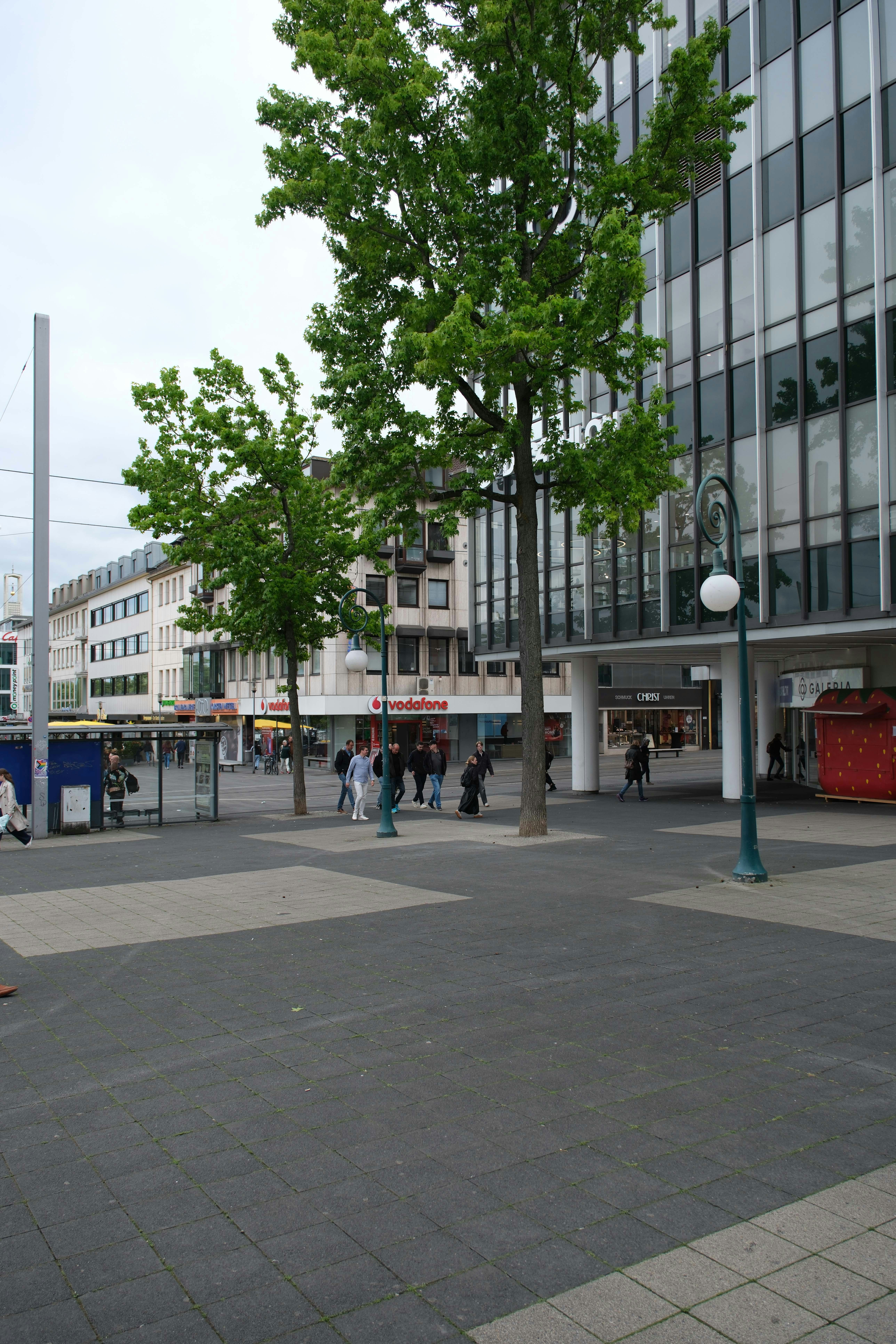City Square in Focus: Greens, Glass, and Footsteps