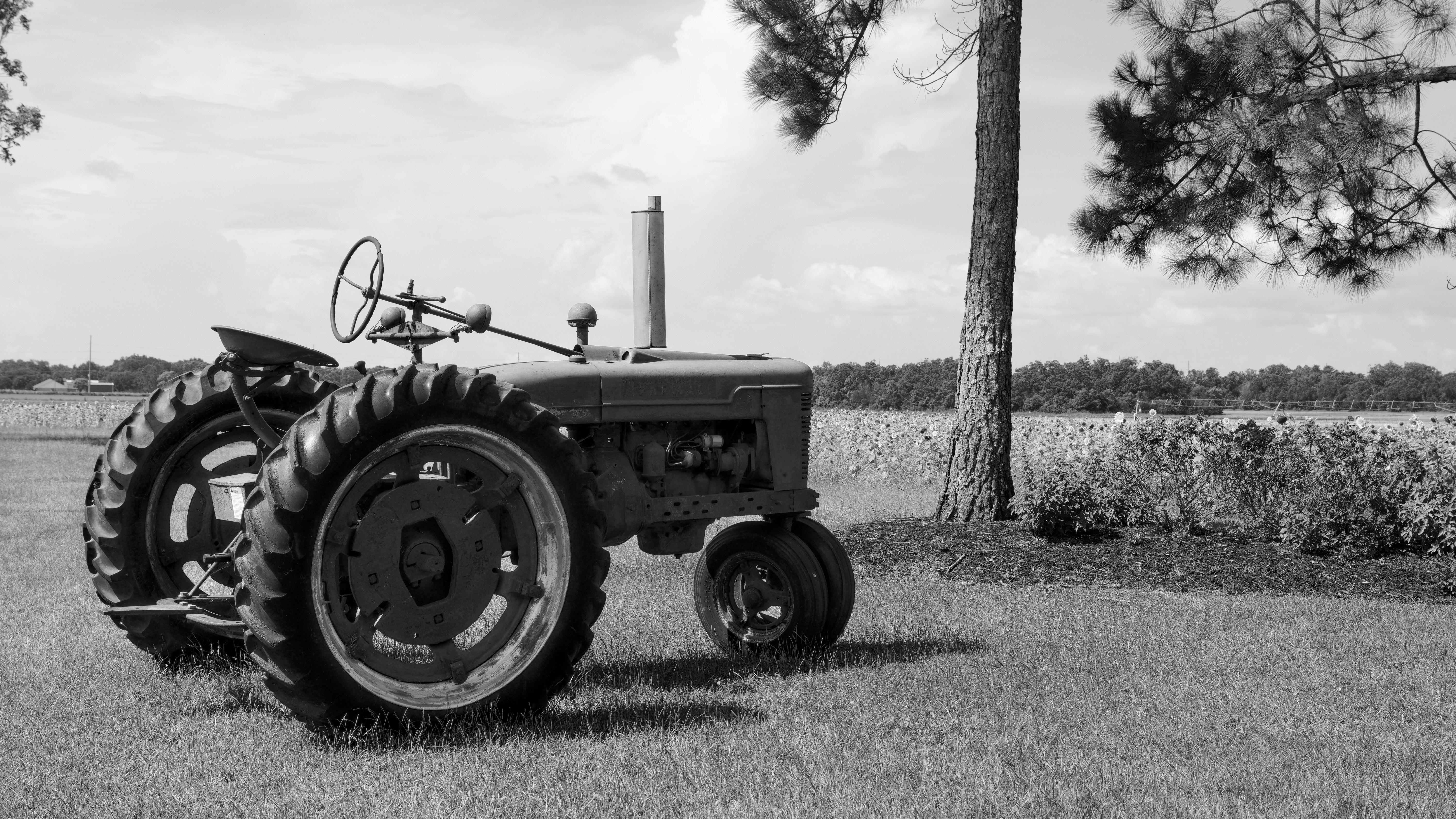 Rustic Fieldwork: A Tractor Quietly Resting by the Tree Line