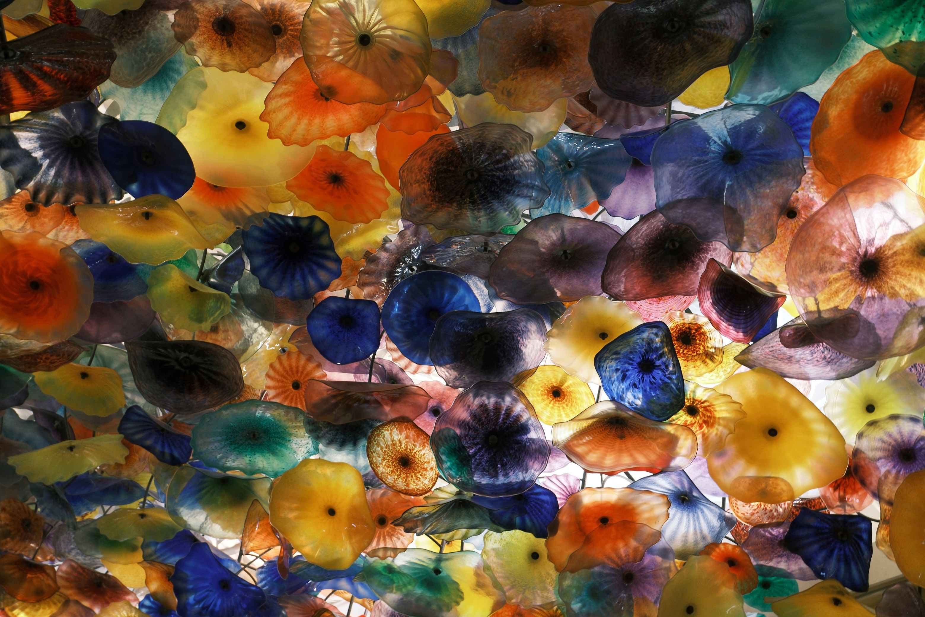 Chromatic Canopy: A Sky of Glassy Umbrellas