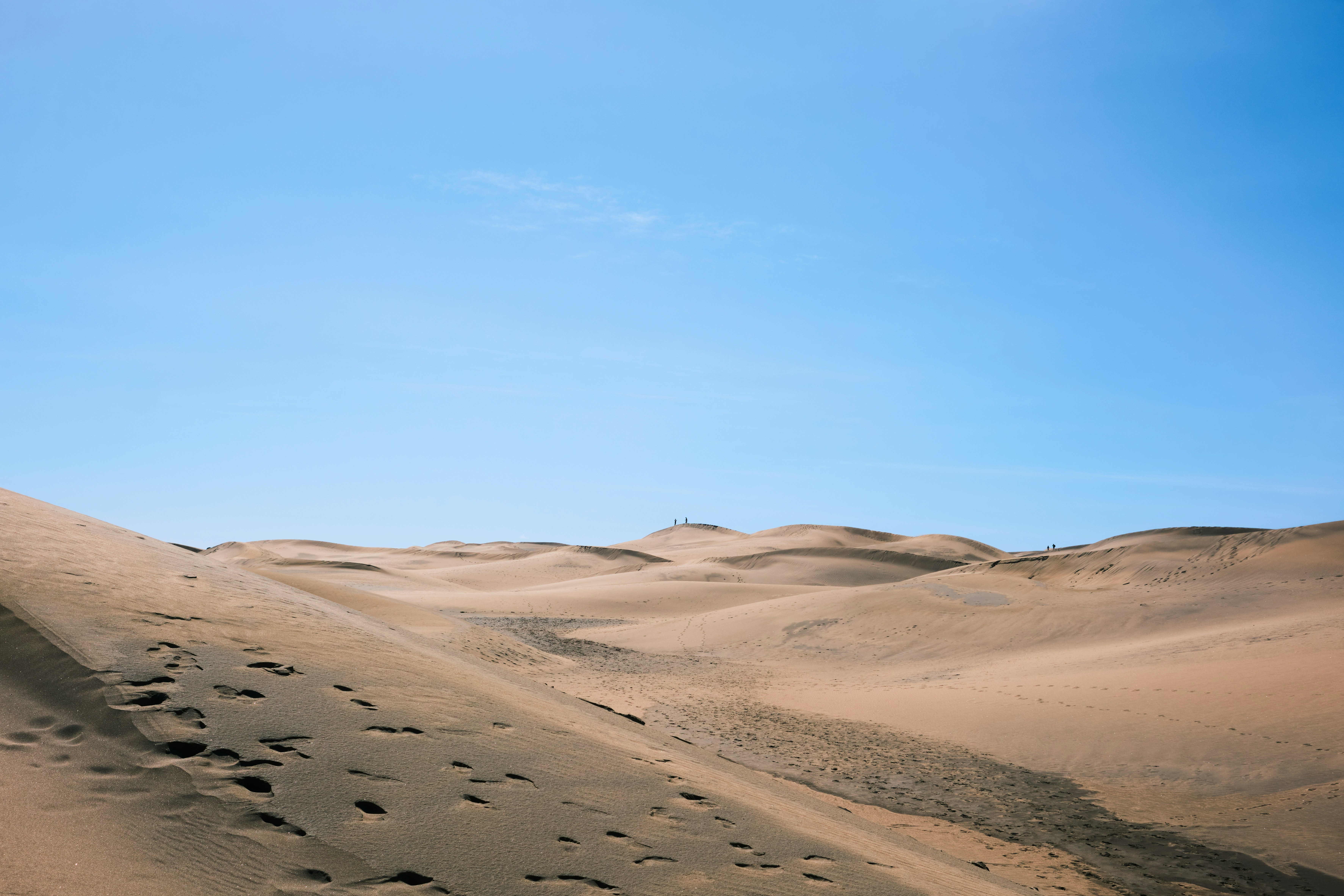 Dune Ridge Under a Clear Sky