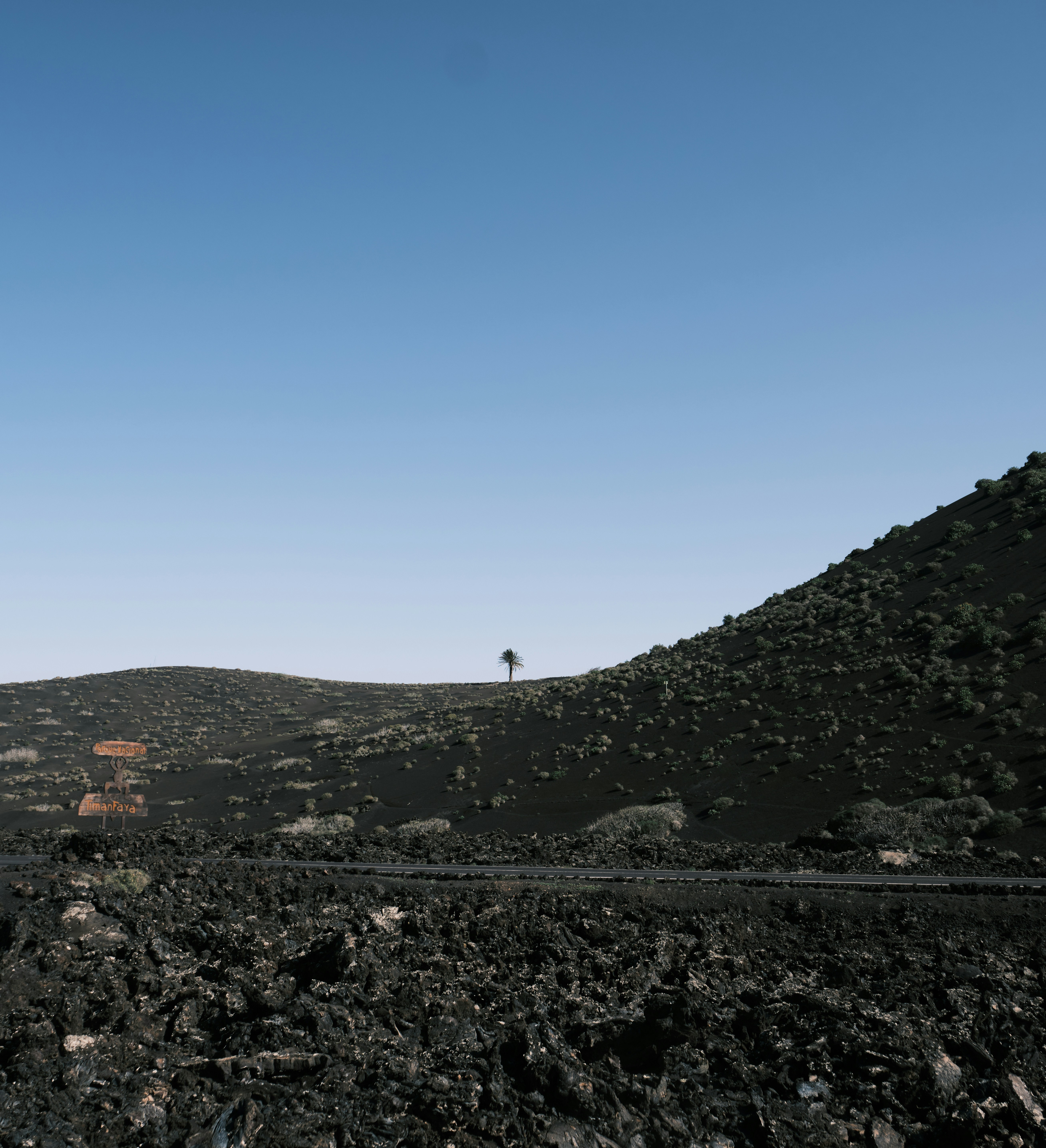 A Lone Palmlazed Summit Under a Vast Blue Sky