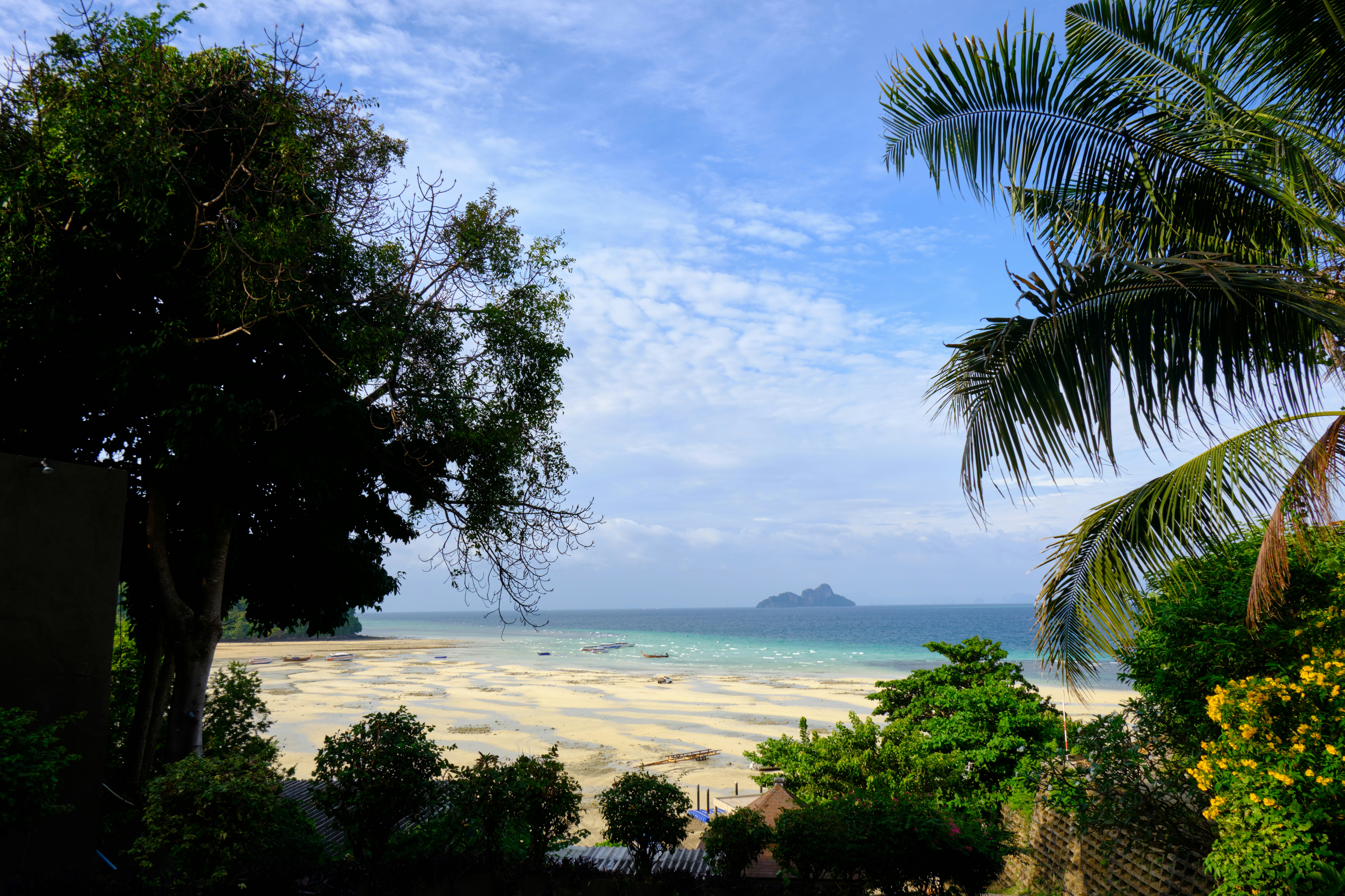 Tropical Cove Through Framing Foliage