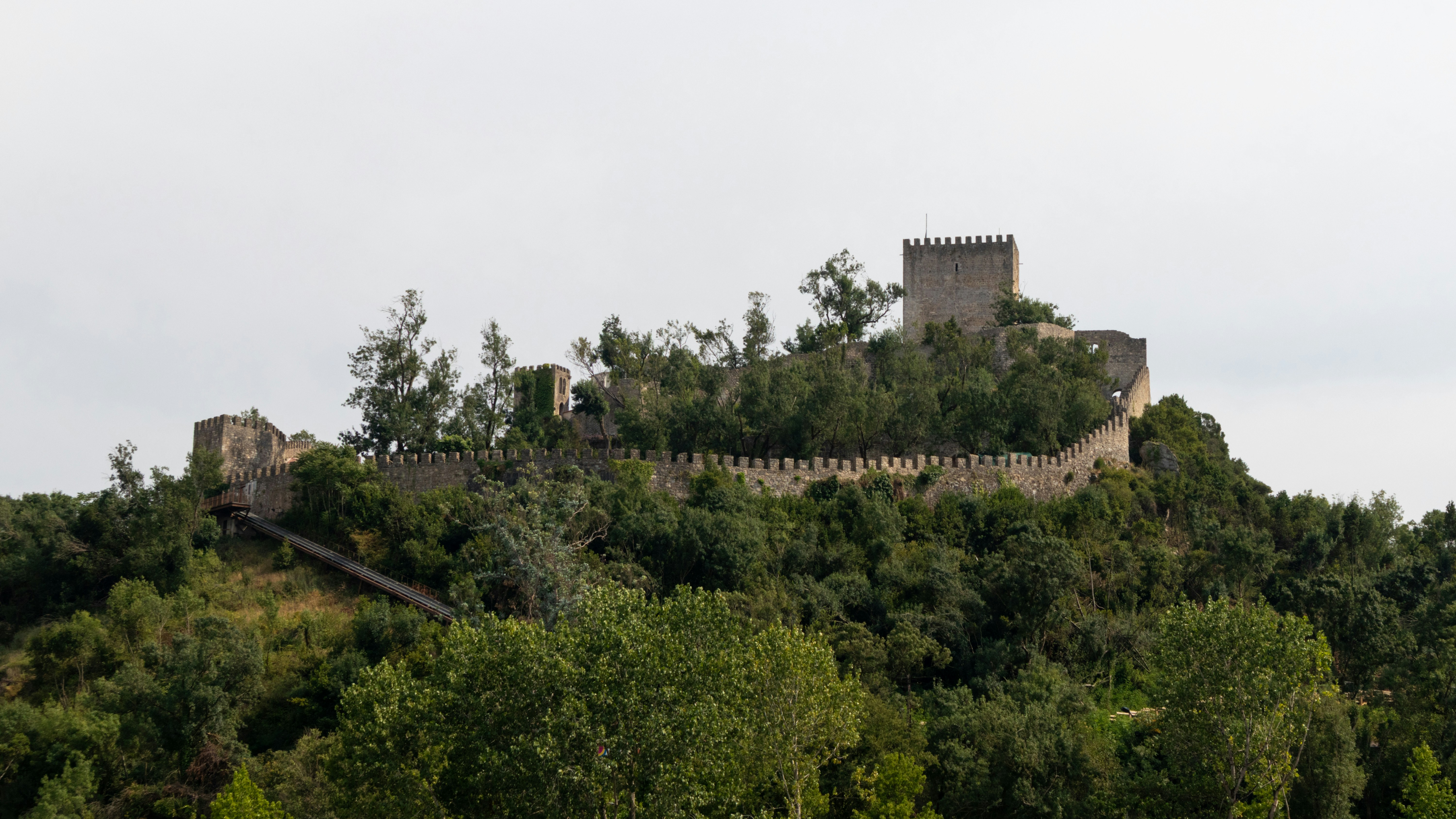 Ancient castle walls snake along a forested hilltop, rising above a lush canopy with a cloudy sky above. A historic stone fortress commands the landscape, emphasizing its endurance through time.
