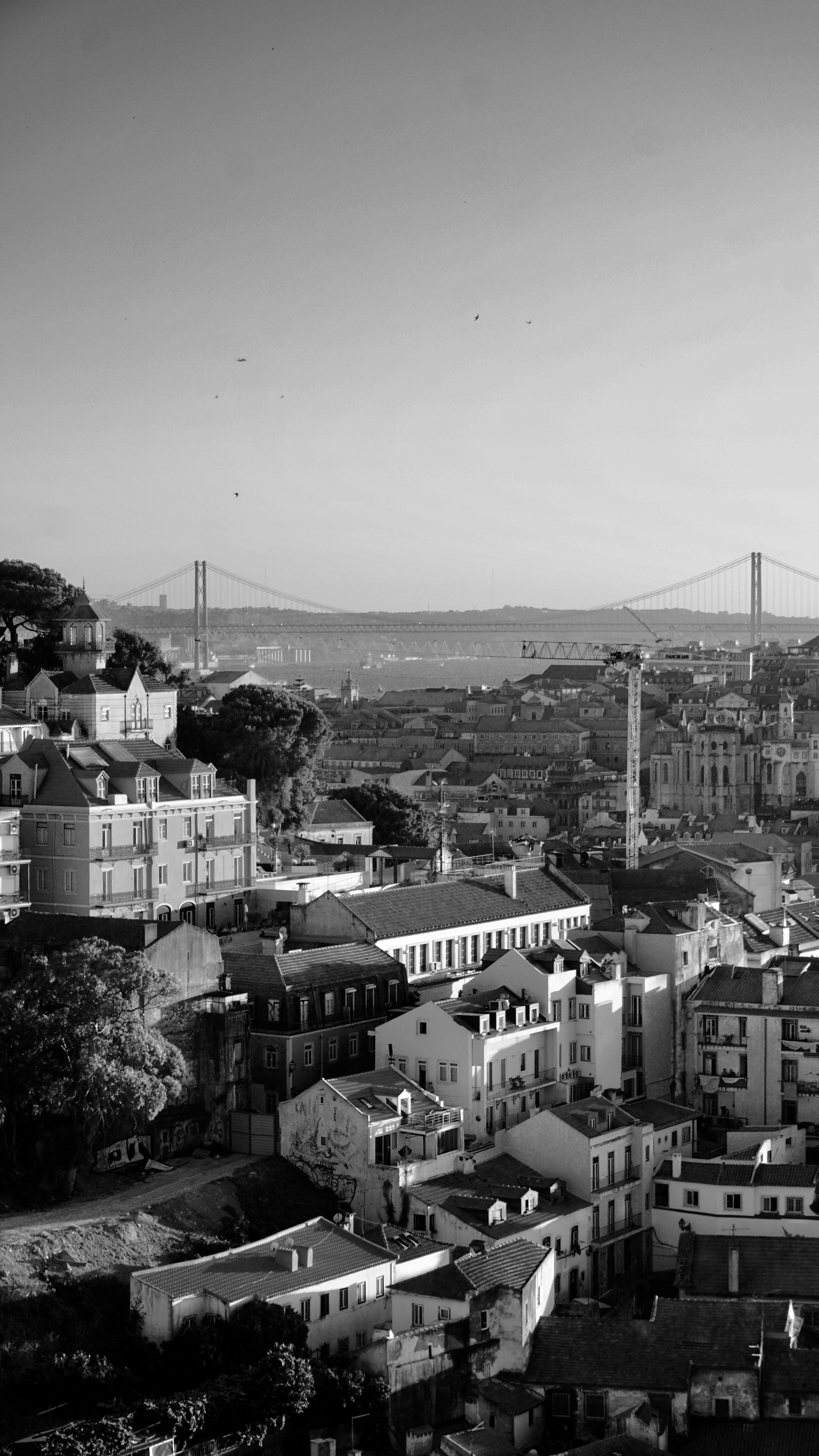 Elevated Lisbon: A Quiet Cityscape Beneath a Span
