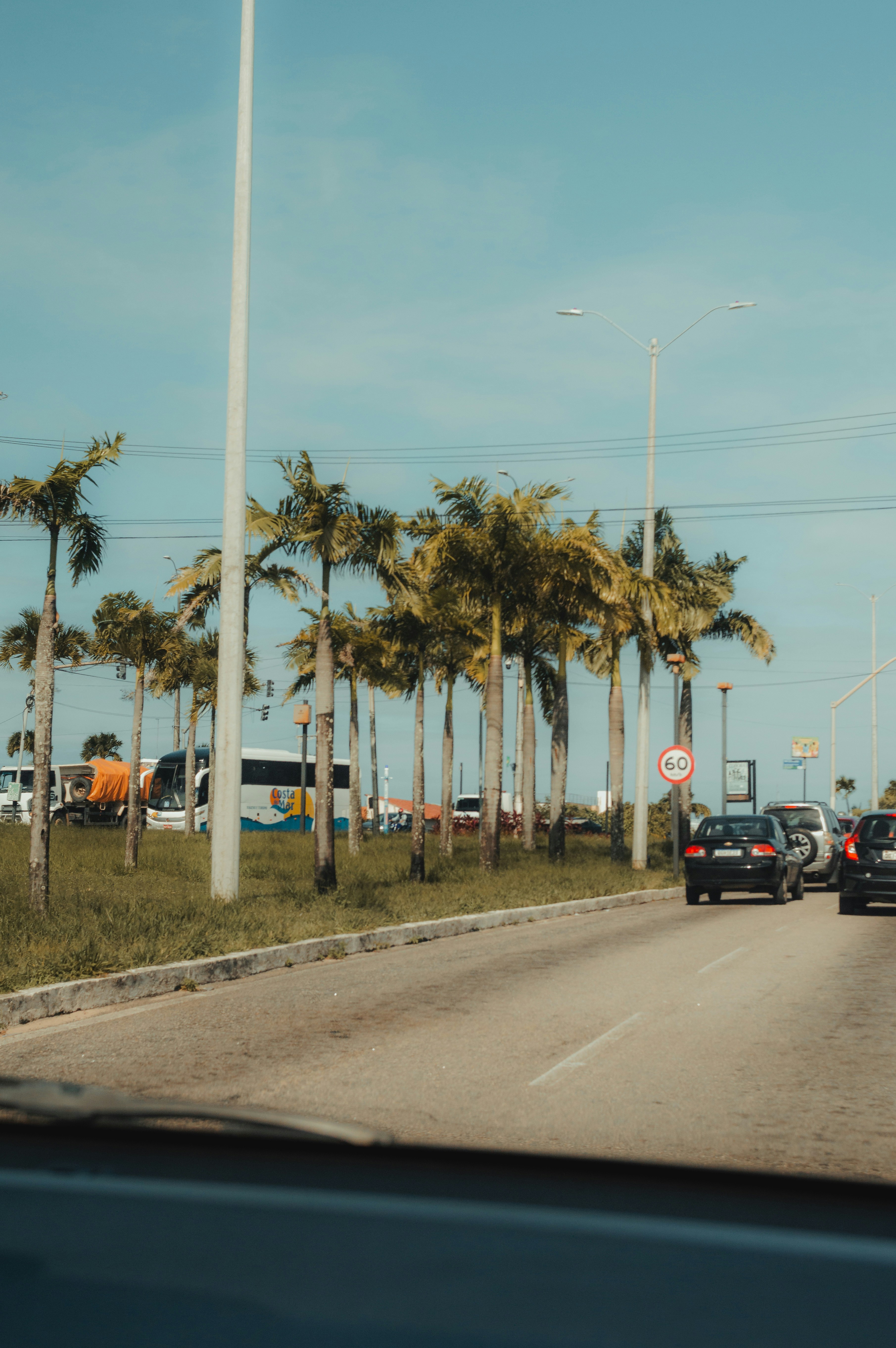 Toward the Harbor Lights: Palm Row and Traffic on a Sunny Road