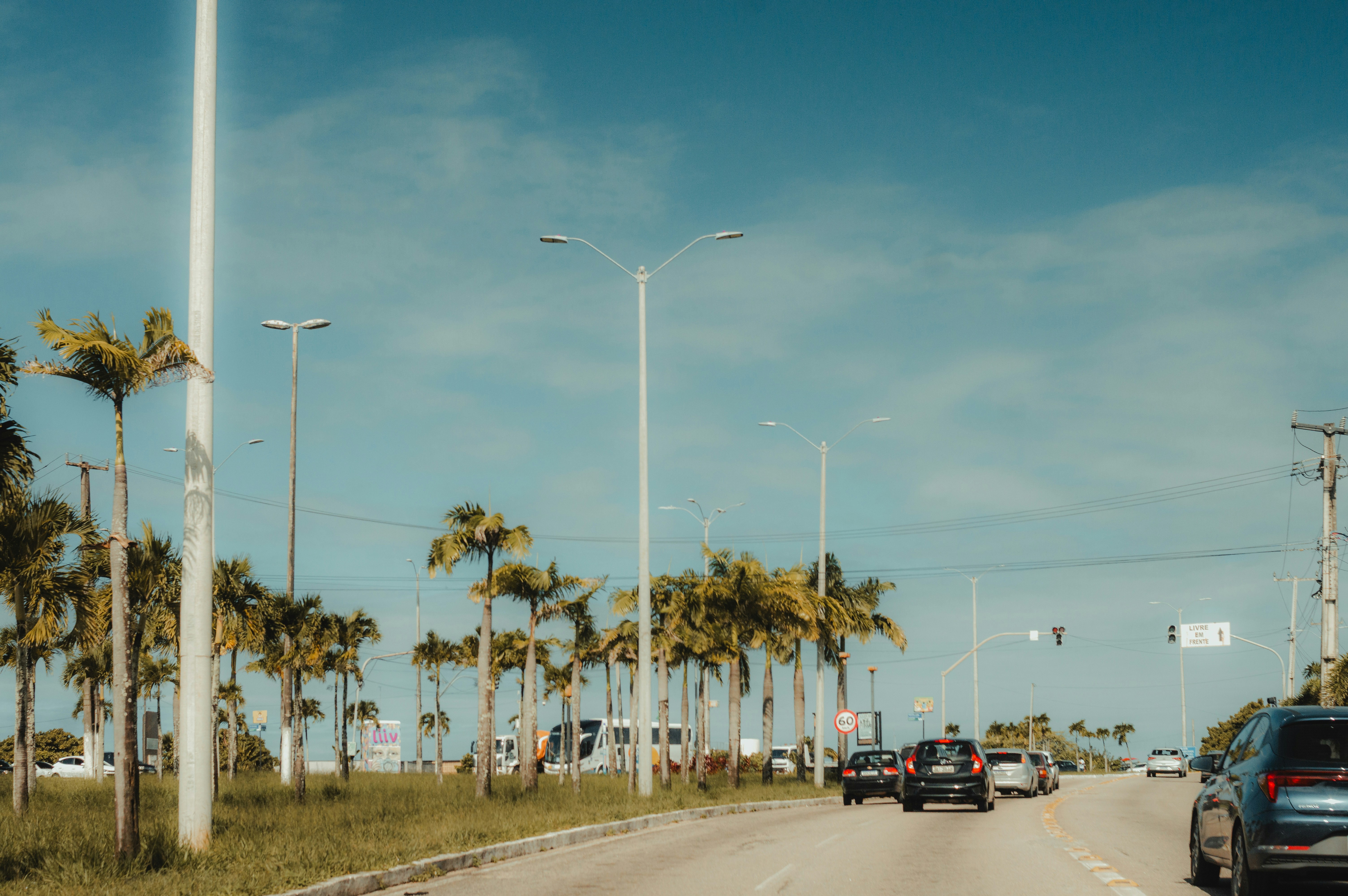 Coastal Avenue Under a Clear Sky
