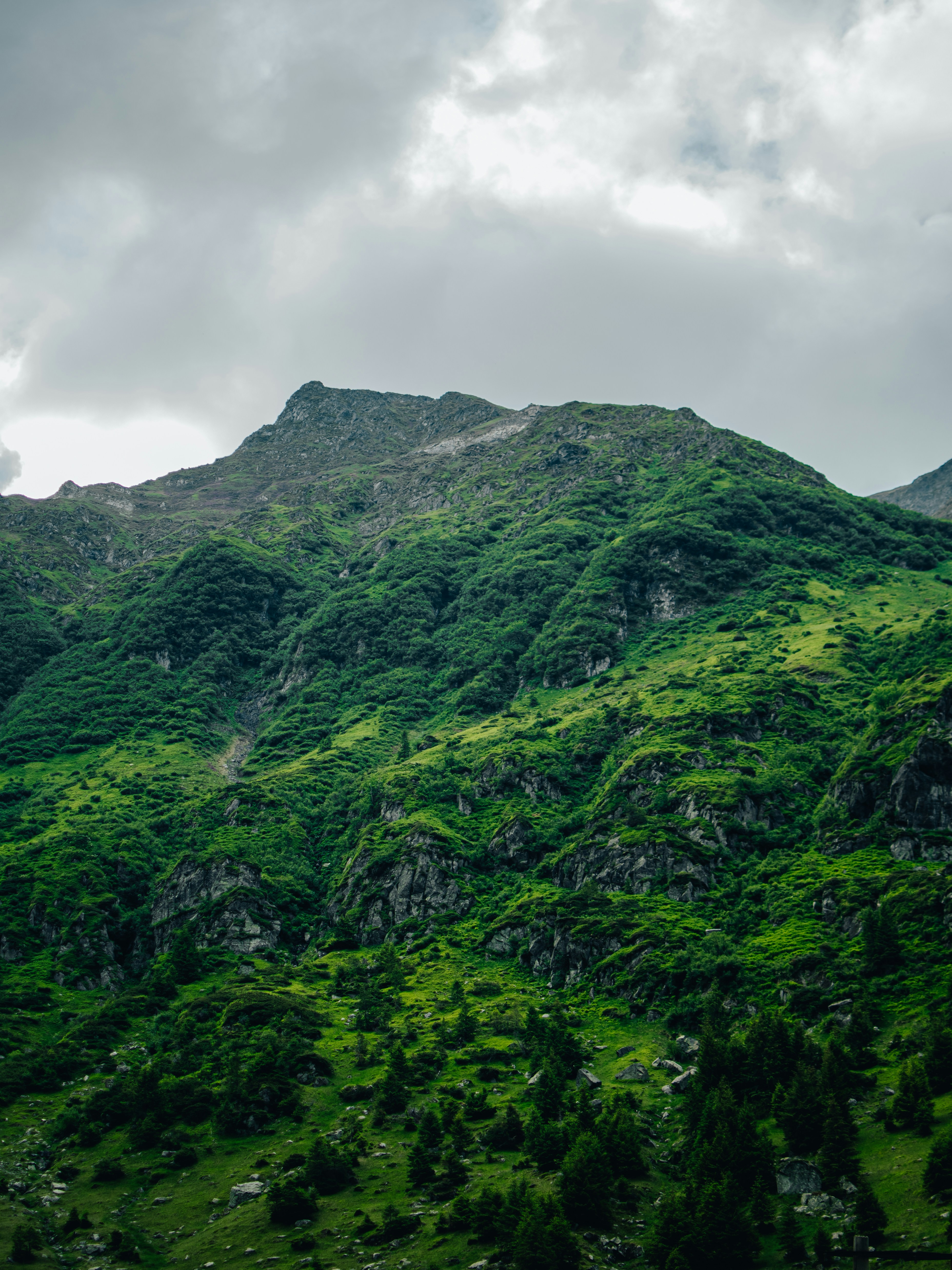 Green Summit: A Misty Ridge Clad in Stone and Pine