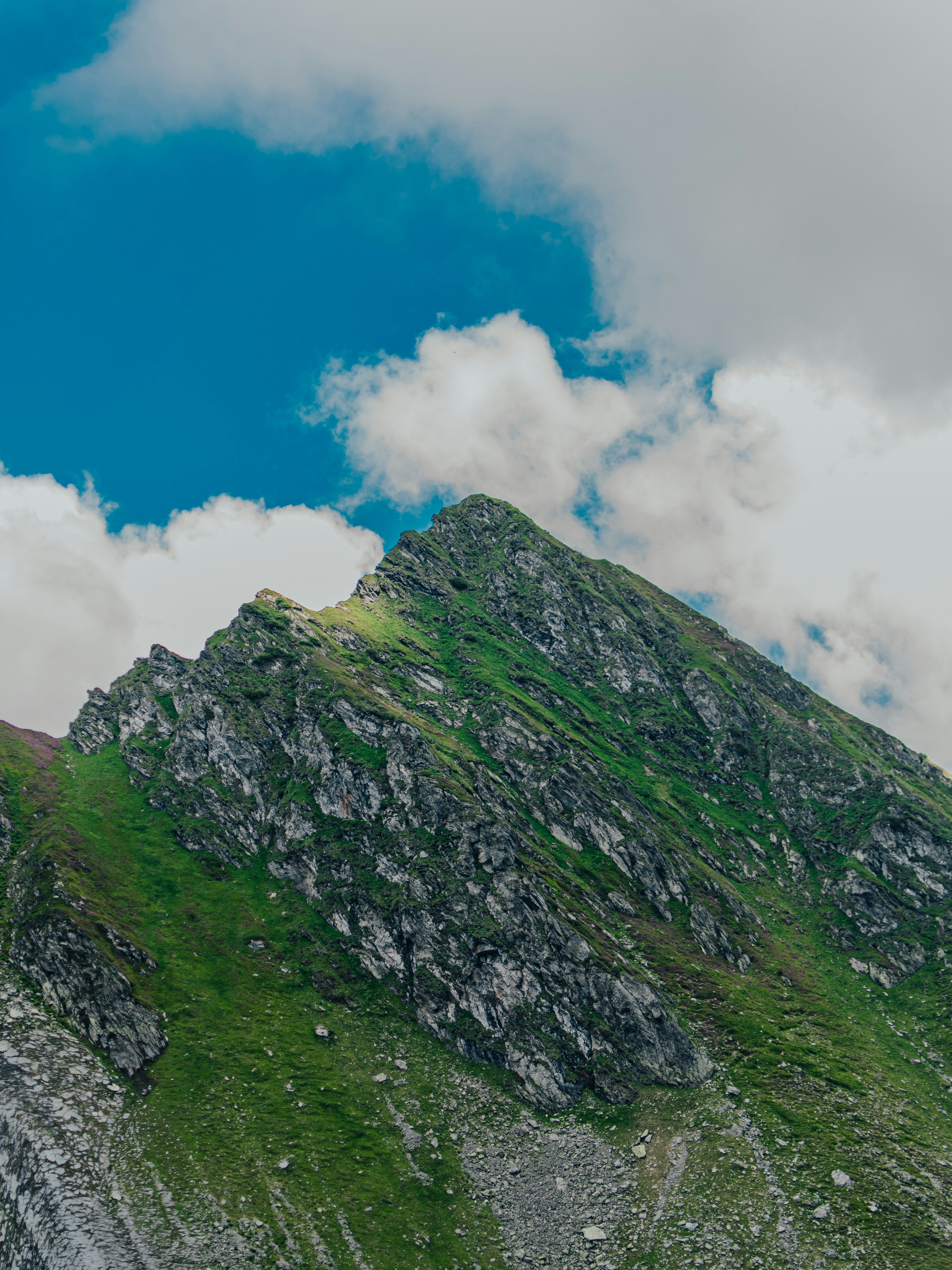 Verdant Summit over Clouds