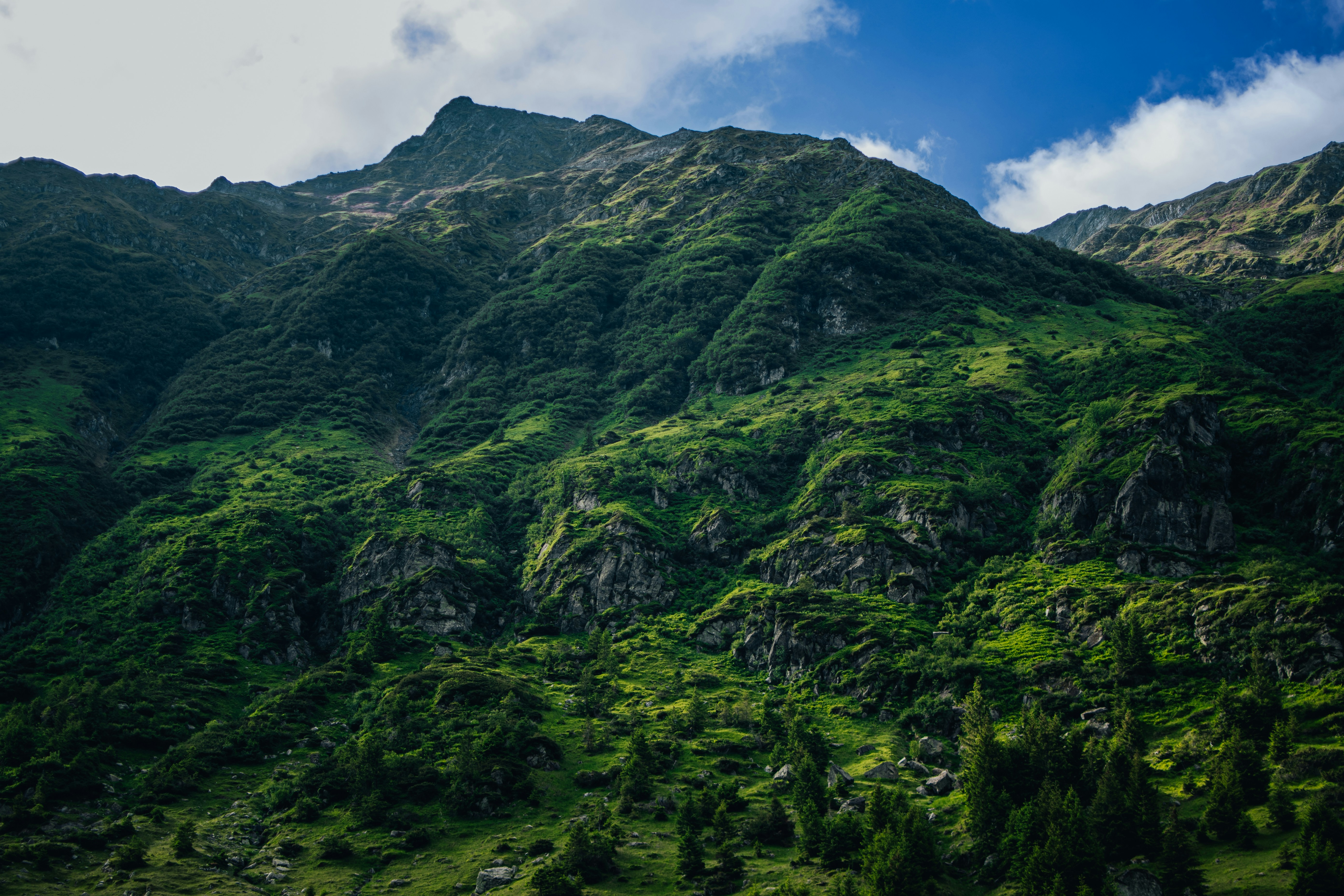 Verdant Vicinities: A Mountainous Patchwork in Southern Light