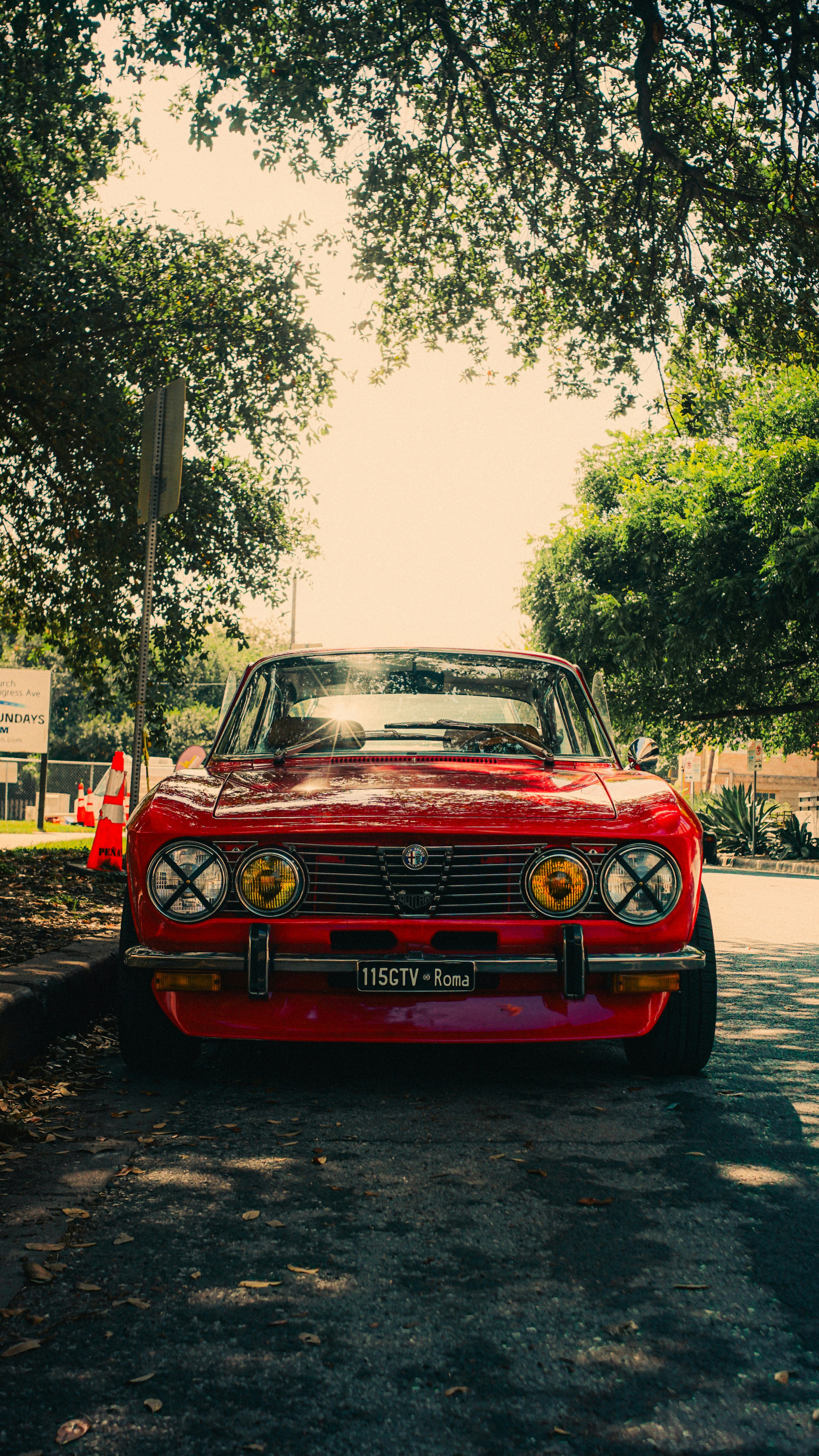 Red Classic Car Under a Canopy of Green