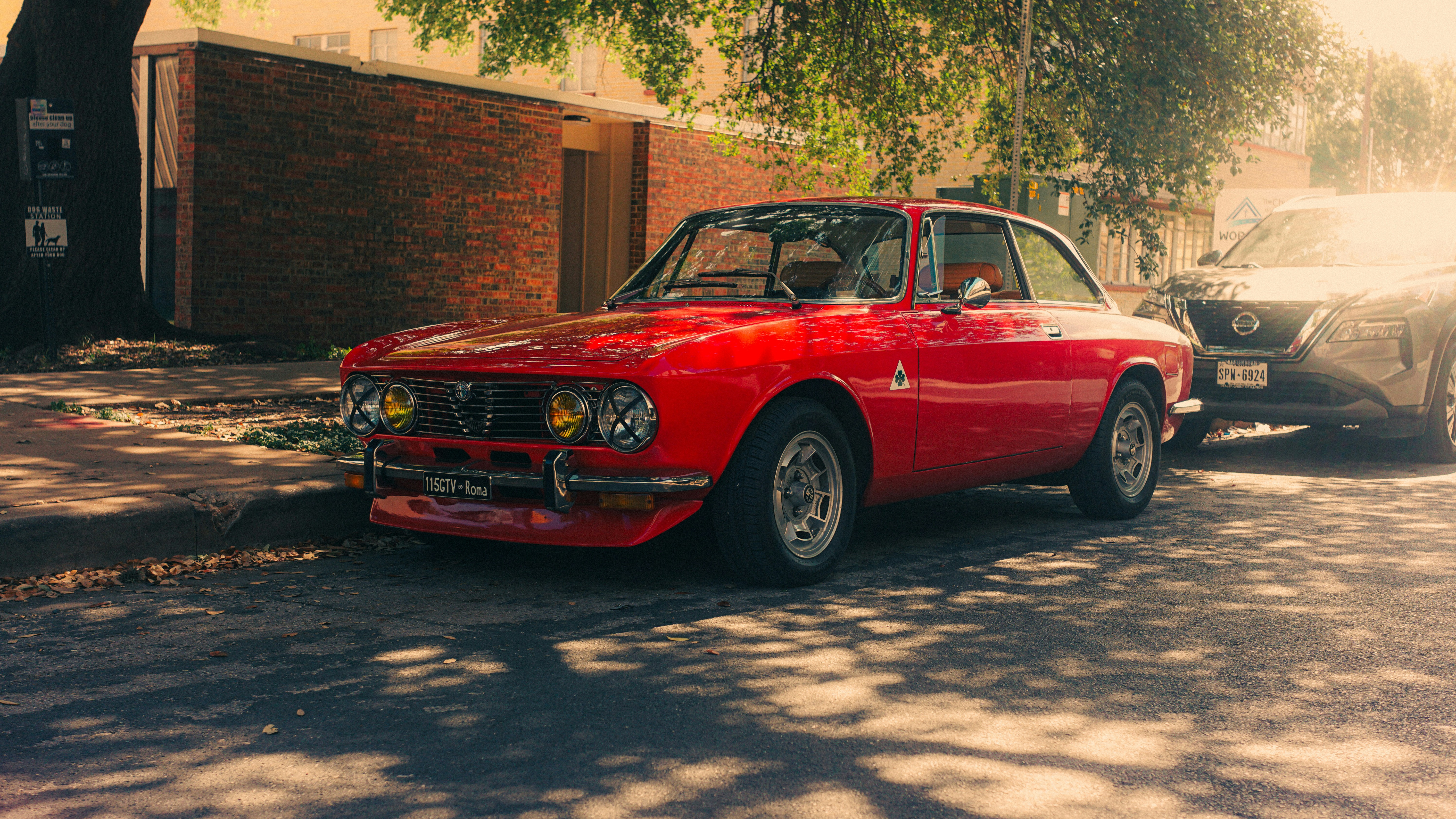 Red Classics on a Shaded Street